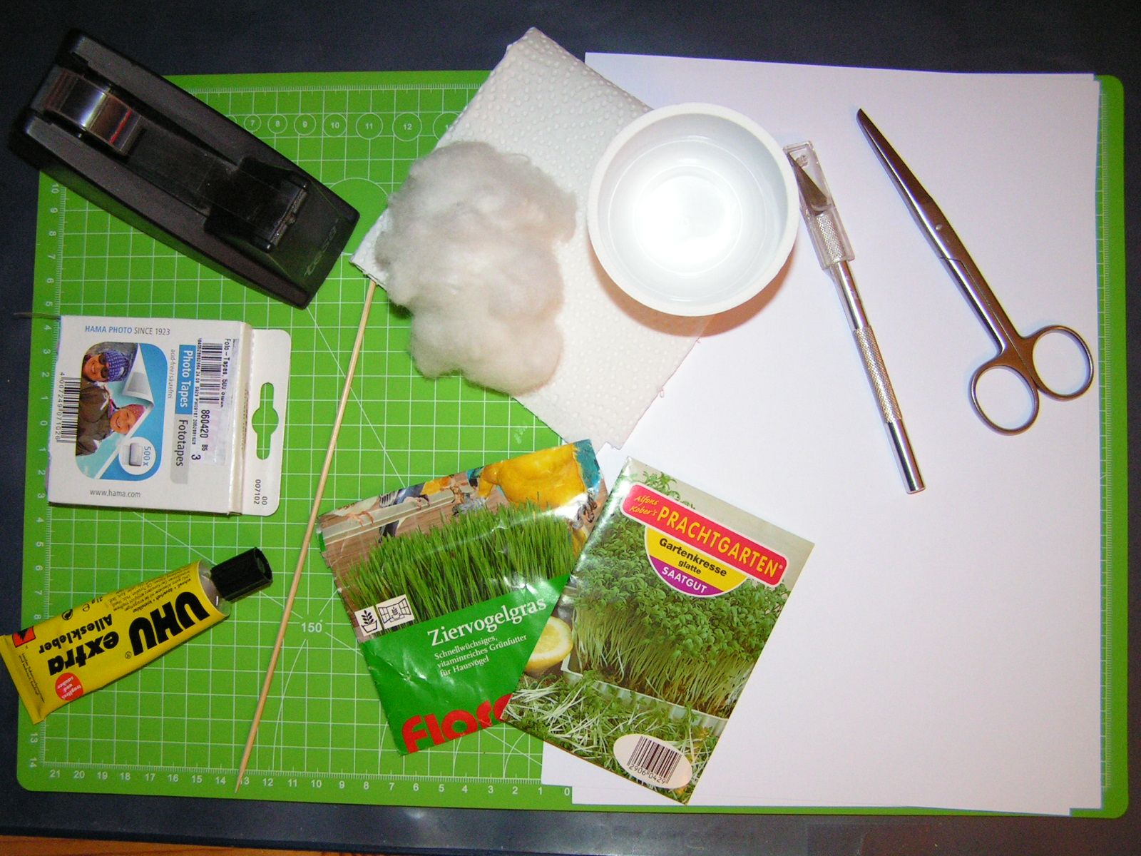 Spring-in-a-Box : 10 Steps - Instructables