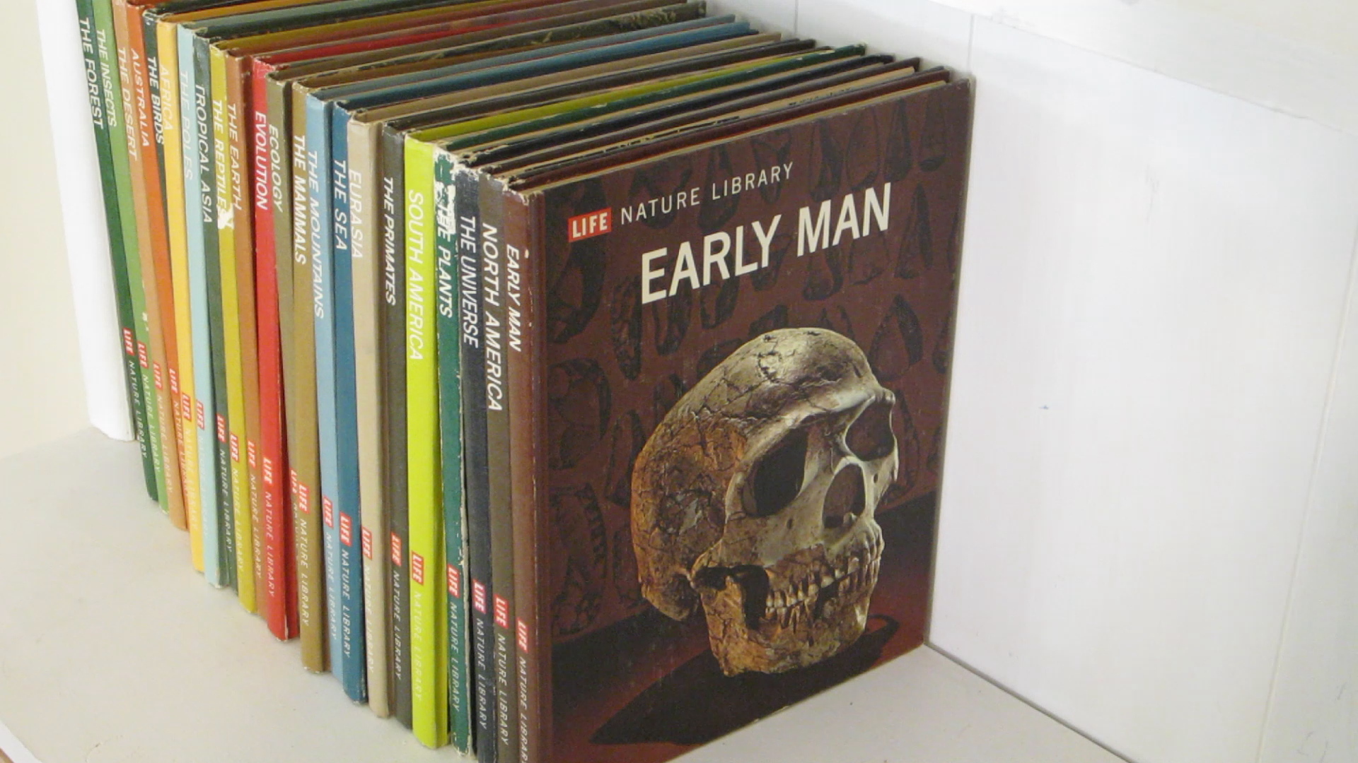 Multi-Book Secret Storage Compartment : 6 Steps (with Pictures ...