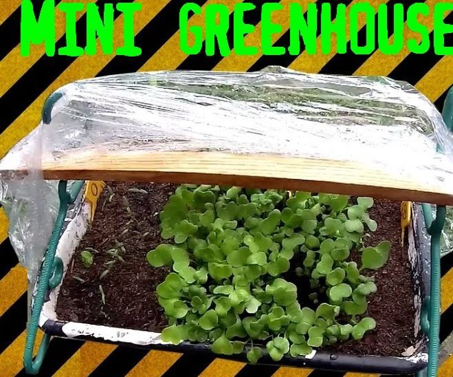 Make a Mini Greenhouse in 2min : 5 Steps (with Pictures) - Instructables