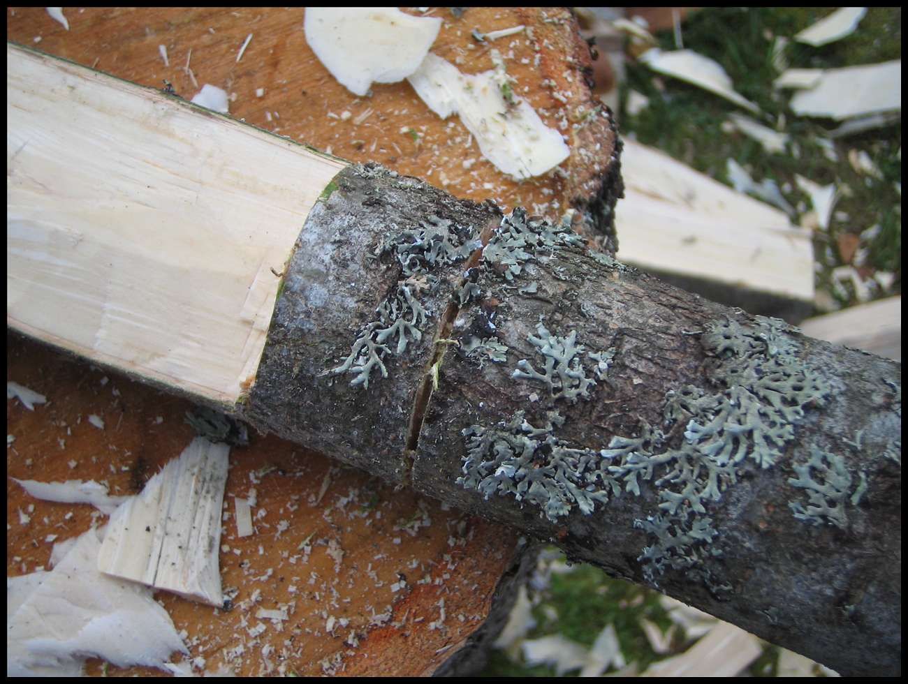 How to Carve a Sword : 4 Steps (with Pictures) - Instructables