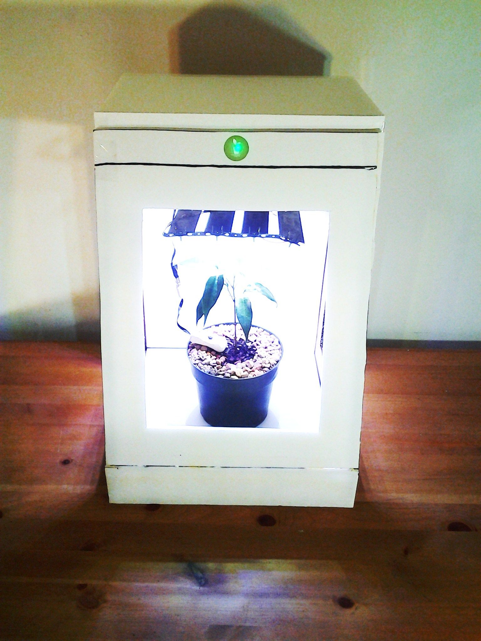 The Plant Box : 6 Steps - Instructables