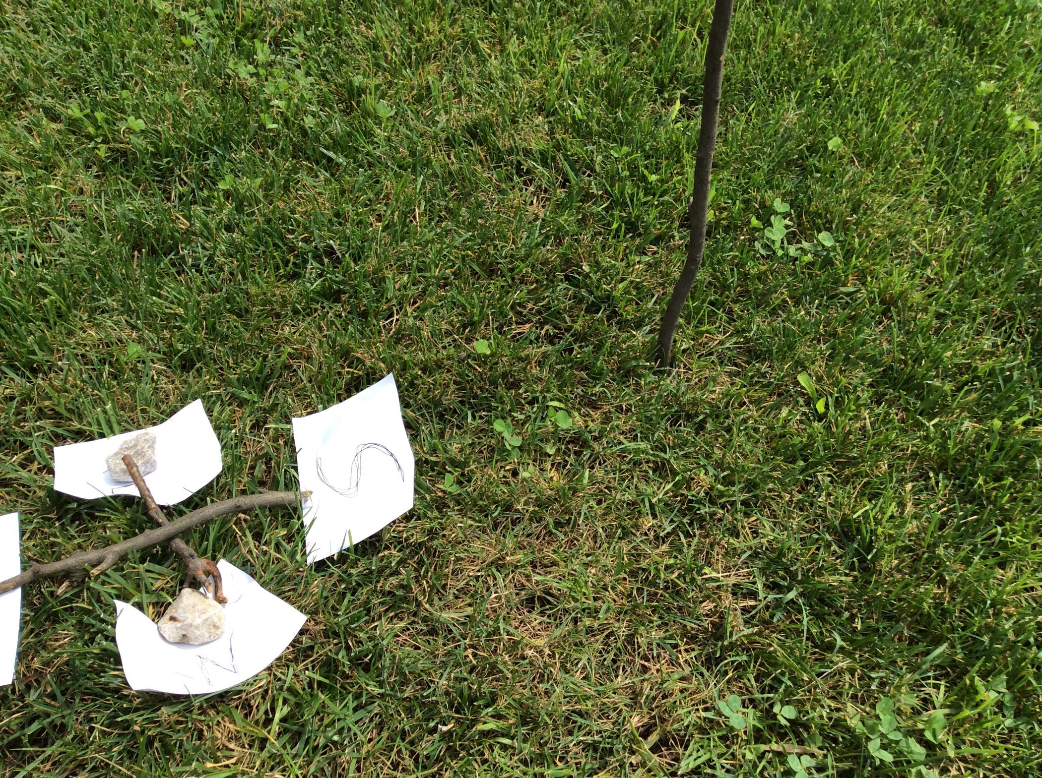Find North With a Stick and the Sun : 6 Steps - Instructables