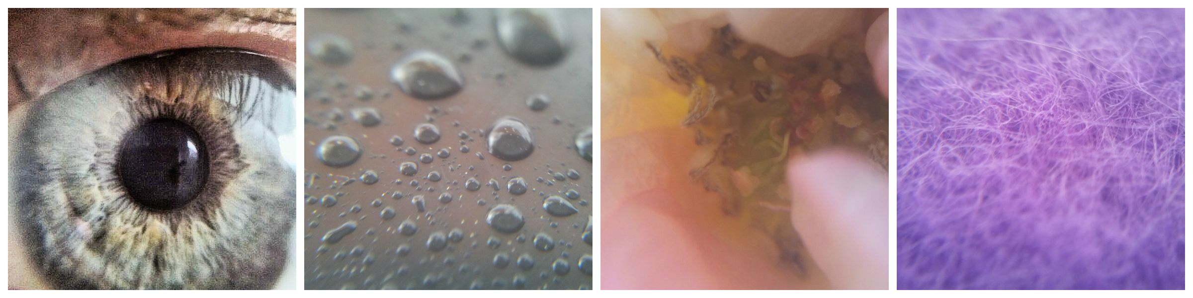 DIY Super Macro Camera for FREE : 5 Steps (with Pictures) - Instructables