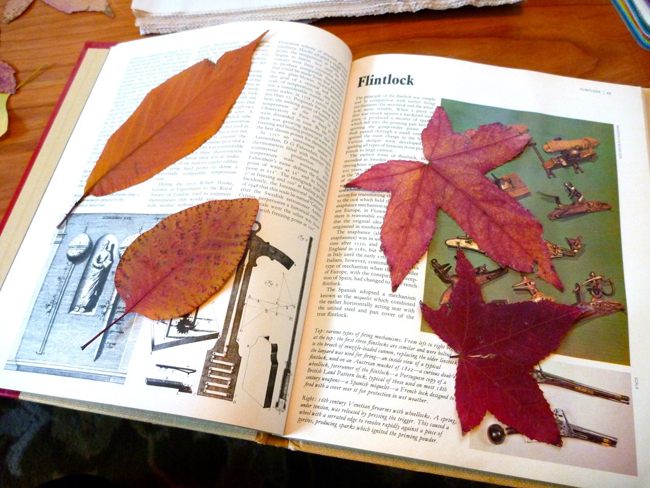 Autumn Leaf Lamp : 10 Steps (with Pictures) - Instructables