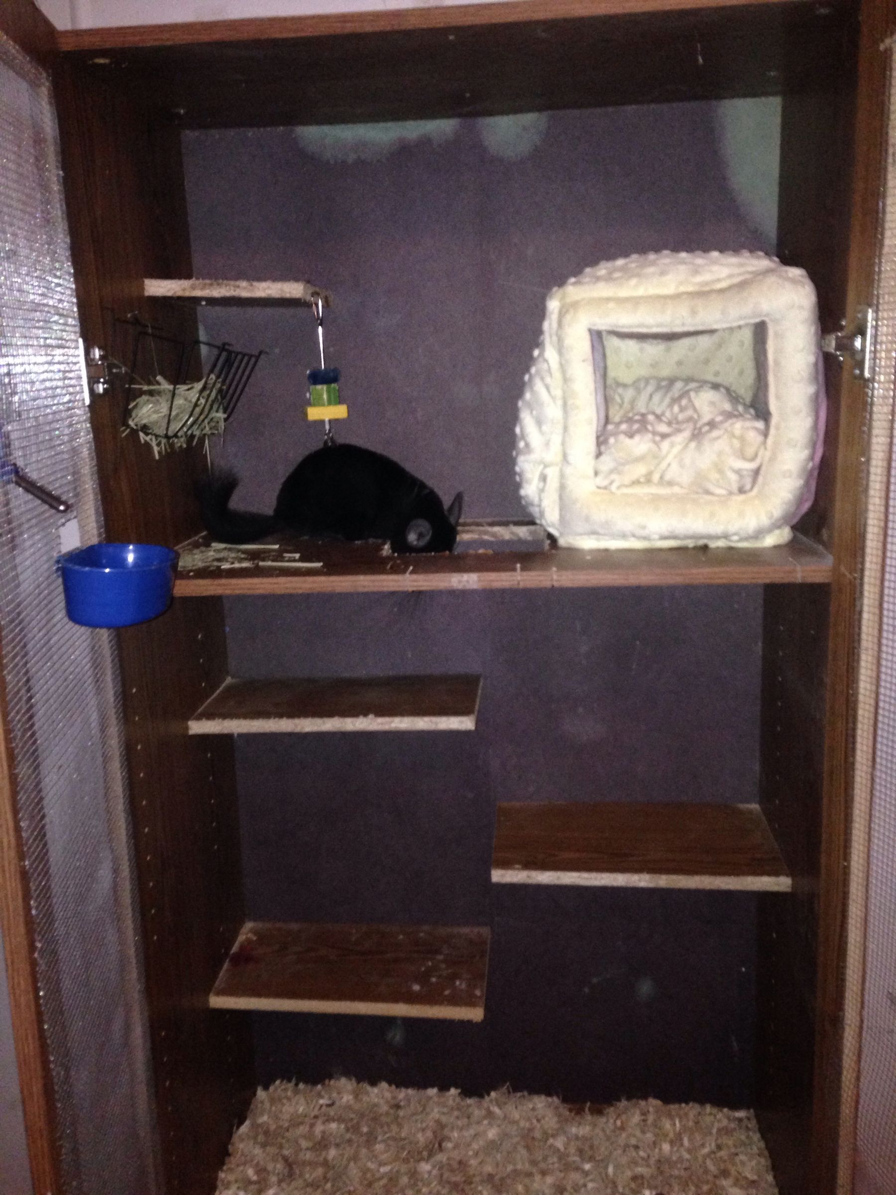 Homemade Chinchilla Cage Dresser