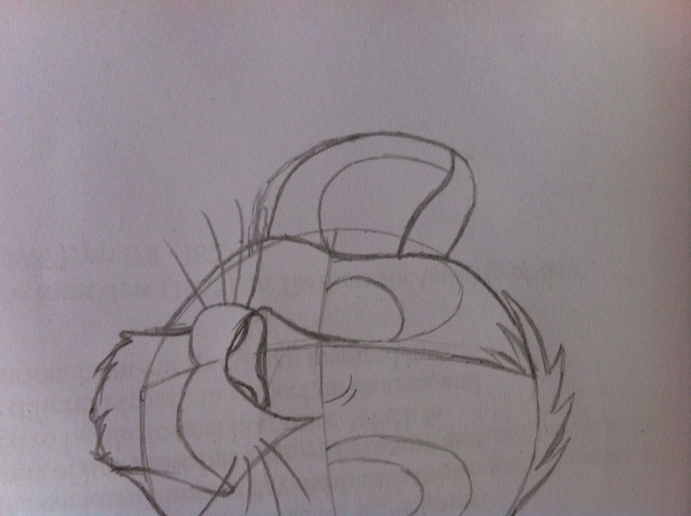 How to Draw Simba : 19 Steps - Instructables