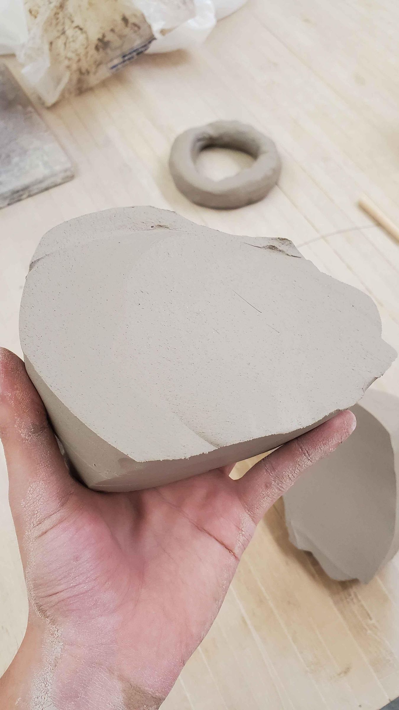 Anatomically Correct Heart - Clay : 11 Steps (with Pictures ...