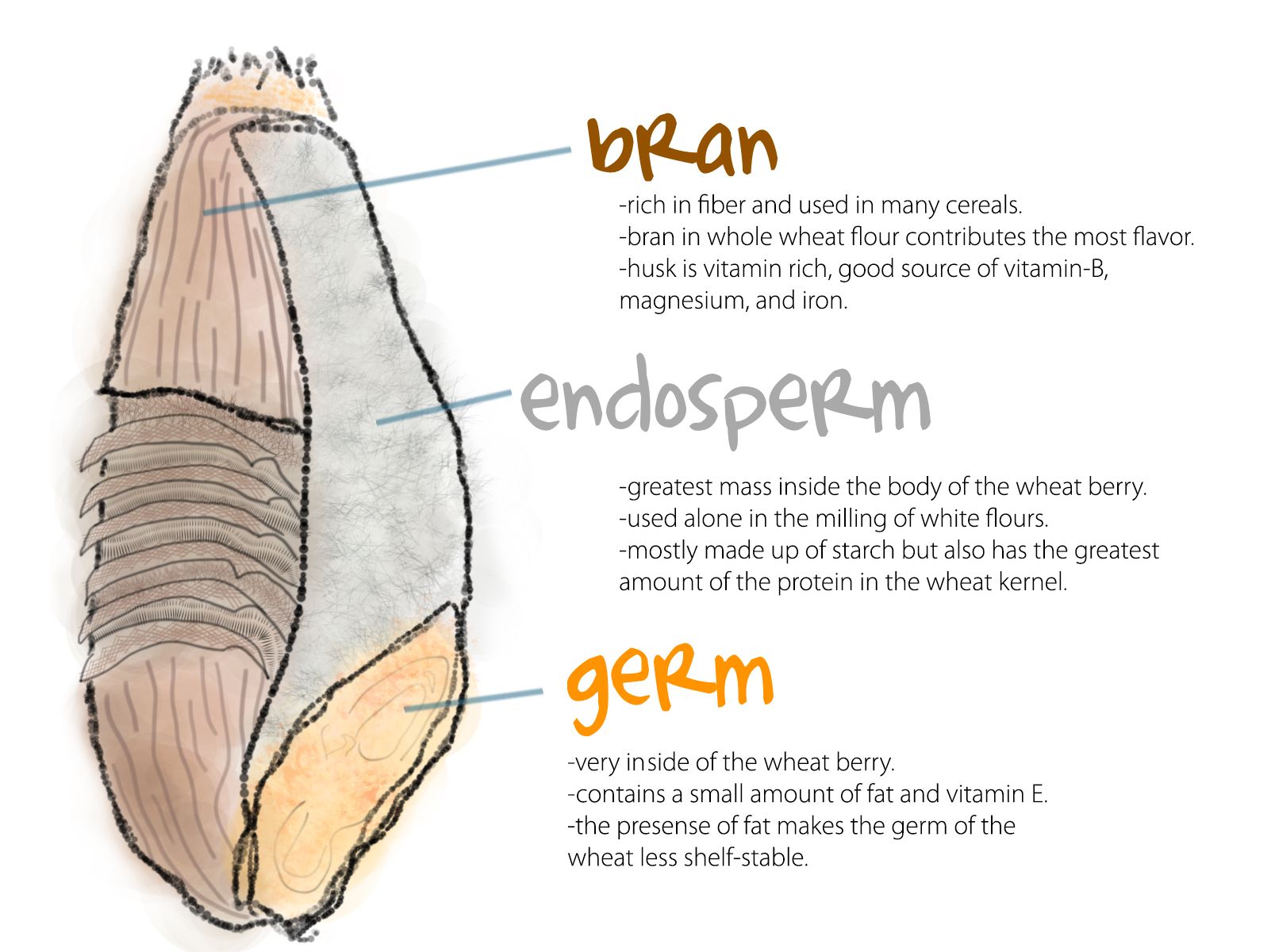 Tools and Materials for Bread : 9 Steps - Instructables