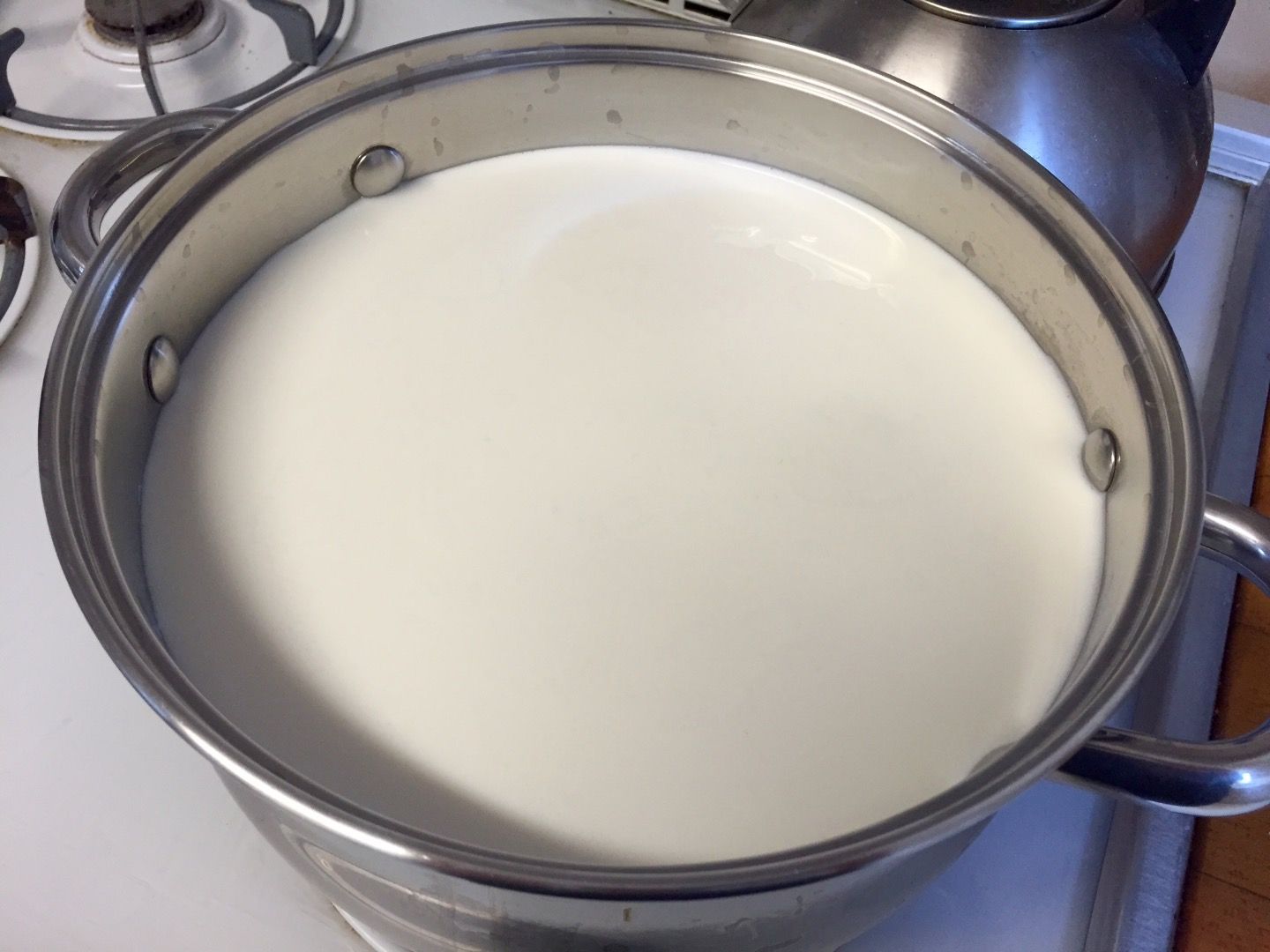 What the Quark??? DIY German Quark : 4 Steps (with Pictures ...