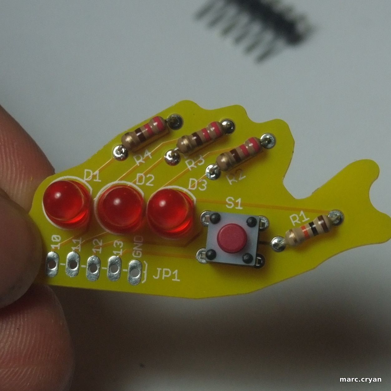 Blinky Fish - Kickstarter Project : 15 Steps - Instructables