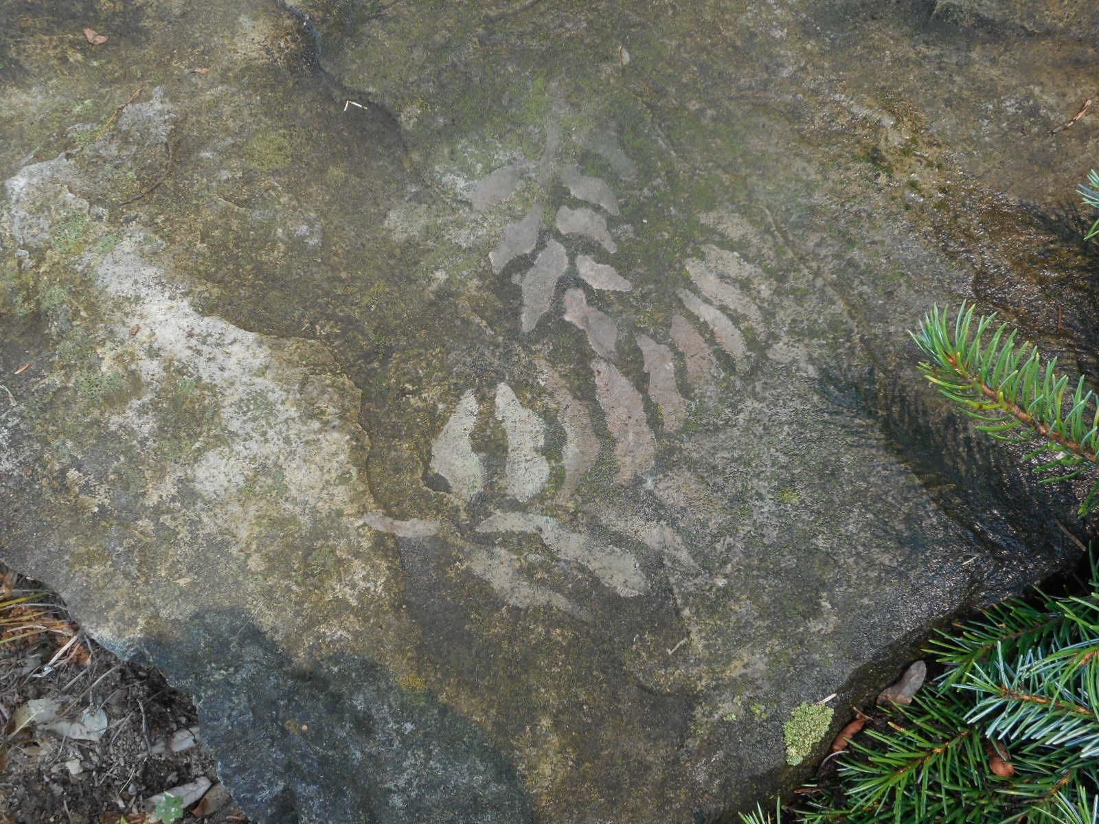 Faux Fossils (Fake Fossils) for Your Garden : 7 Steps (with Pictures ...