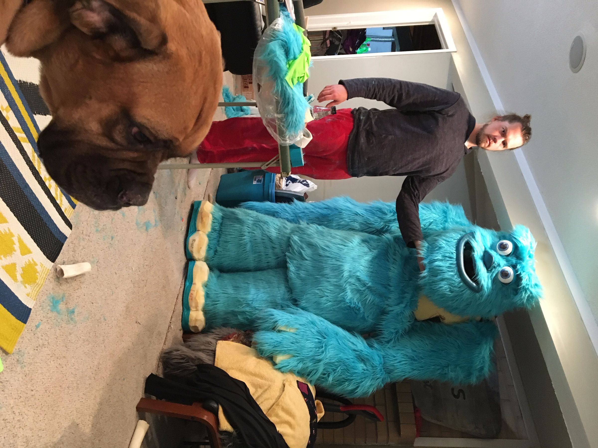 The Ultimate Sully Costume : 7 Steps (with Pictures) - Instructables
