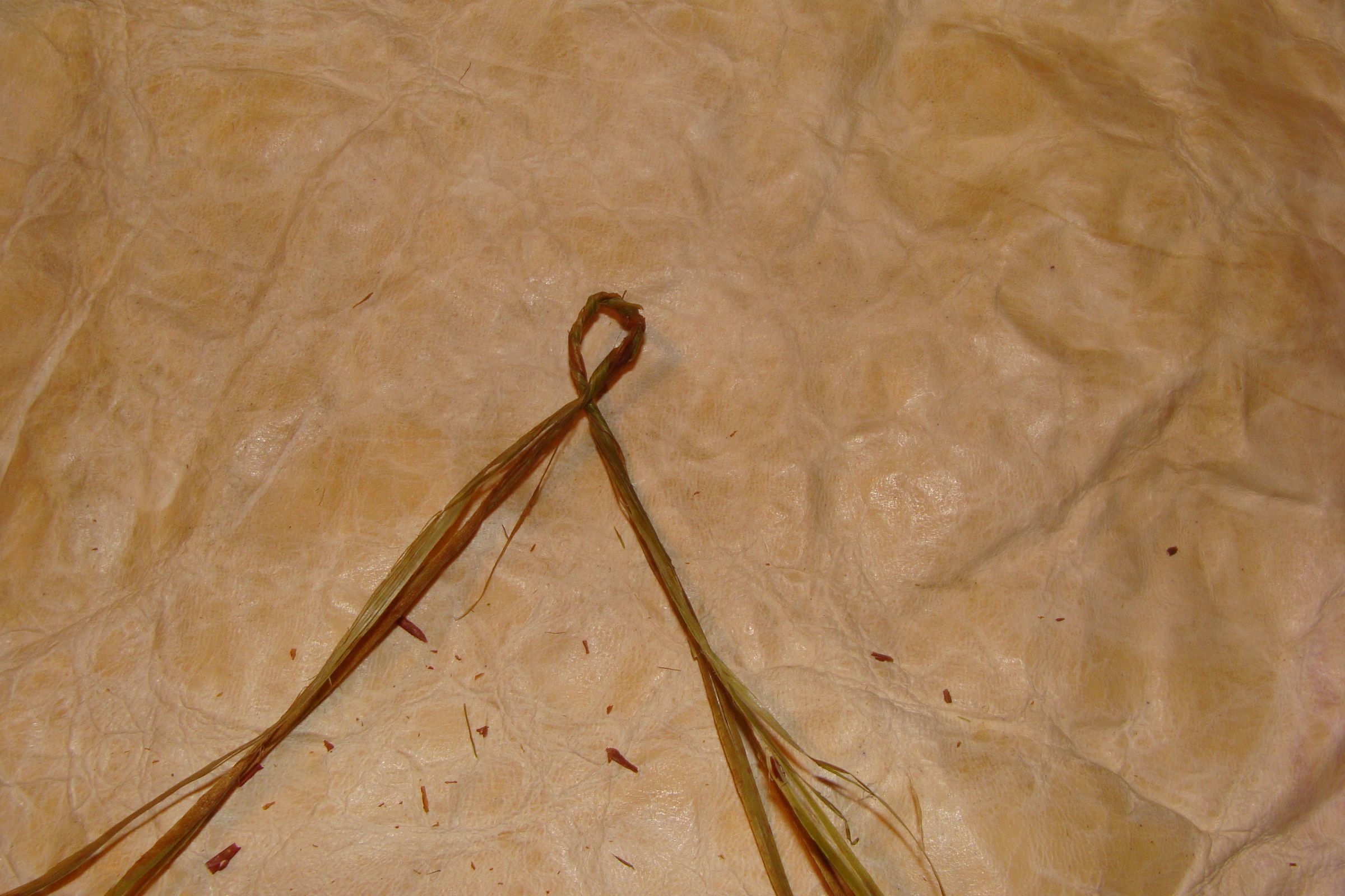 Natural Cordage : 7 Steps (with Pictures) - Instructables