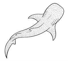 A Cardboard Whale Shark : 8 Steps - Instructables