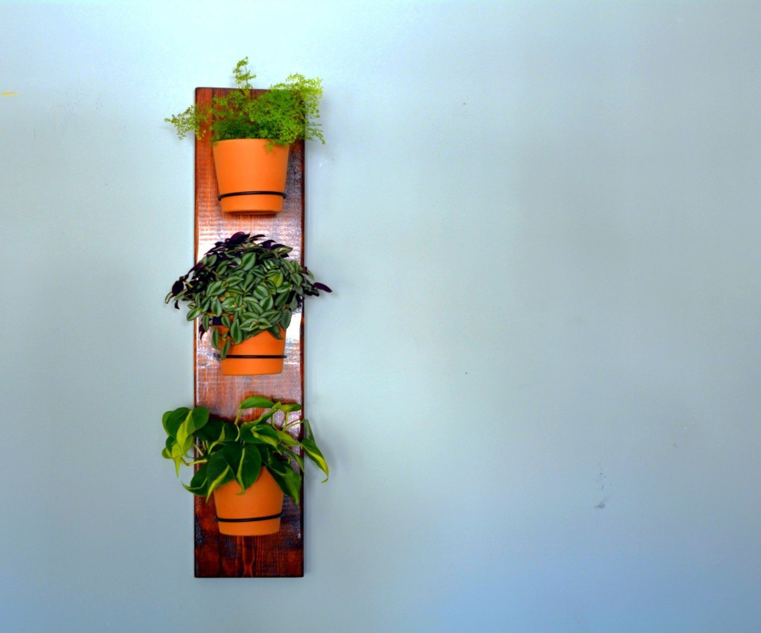 Floating Plant Hanger : 5 Steps (with Pictures) - Instructables