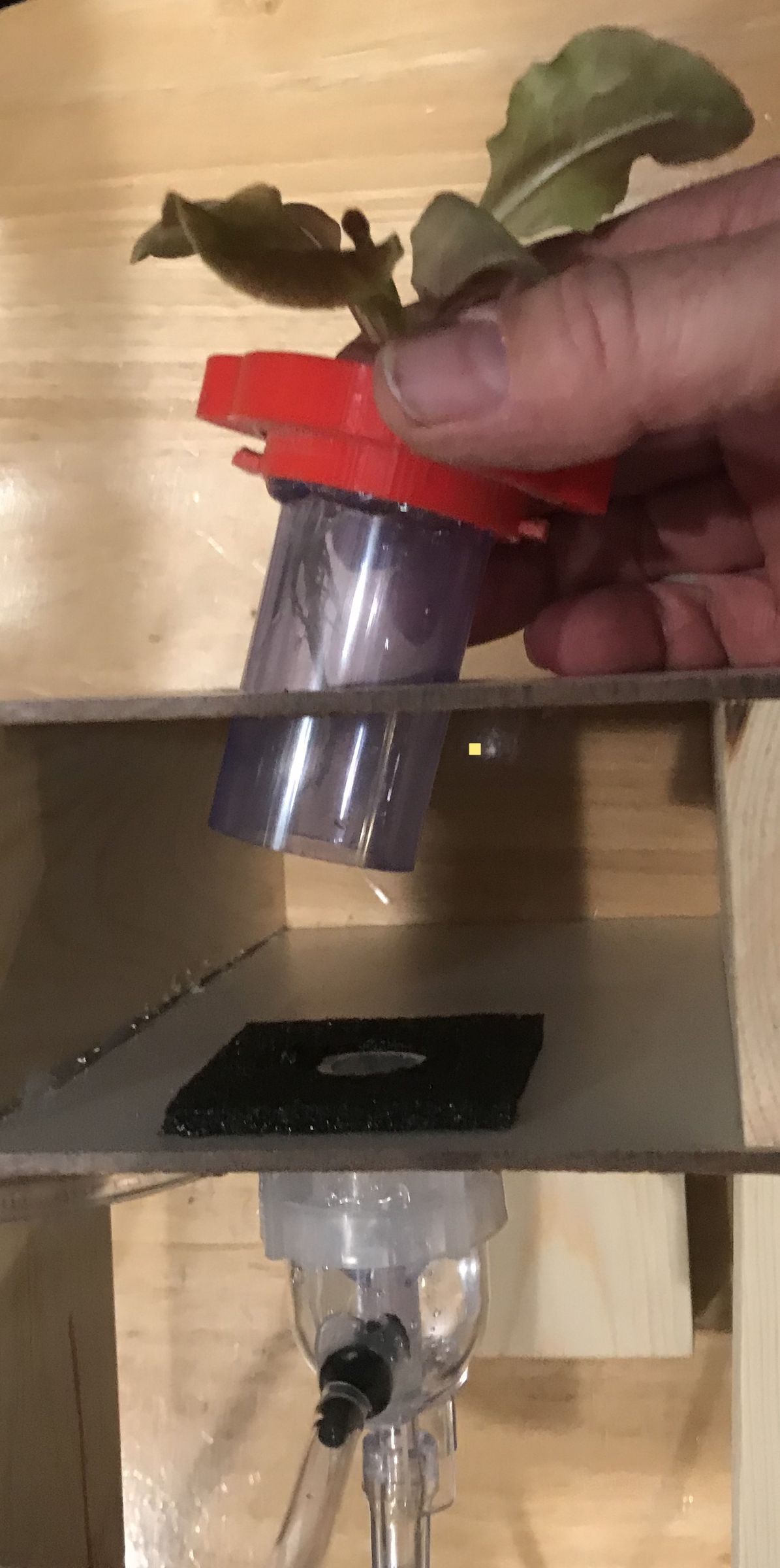 Fogponics/Aeroponics in Microgravity : 6 Steps (with Pictures ...