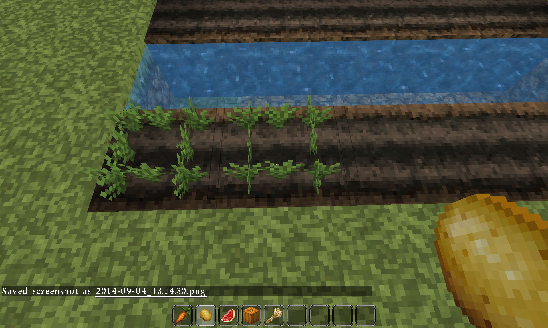 Minecraft Farming 101 : 6 Steps - Instructables
