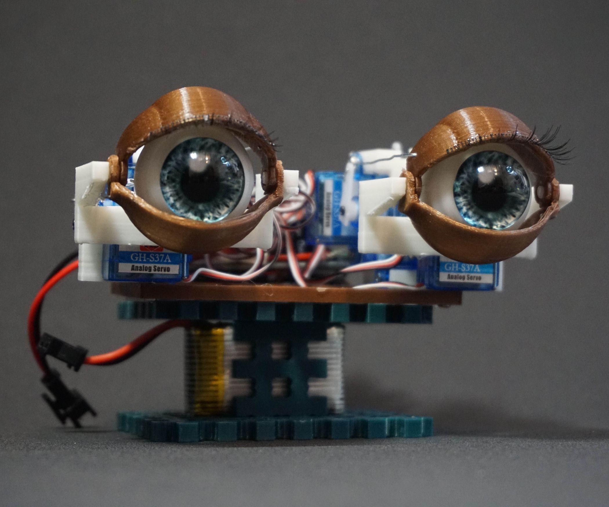 Animatronic Eyes With Remote Control : 5 Steps - Instructables