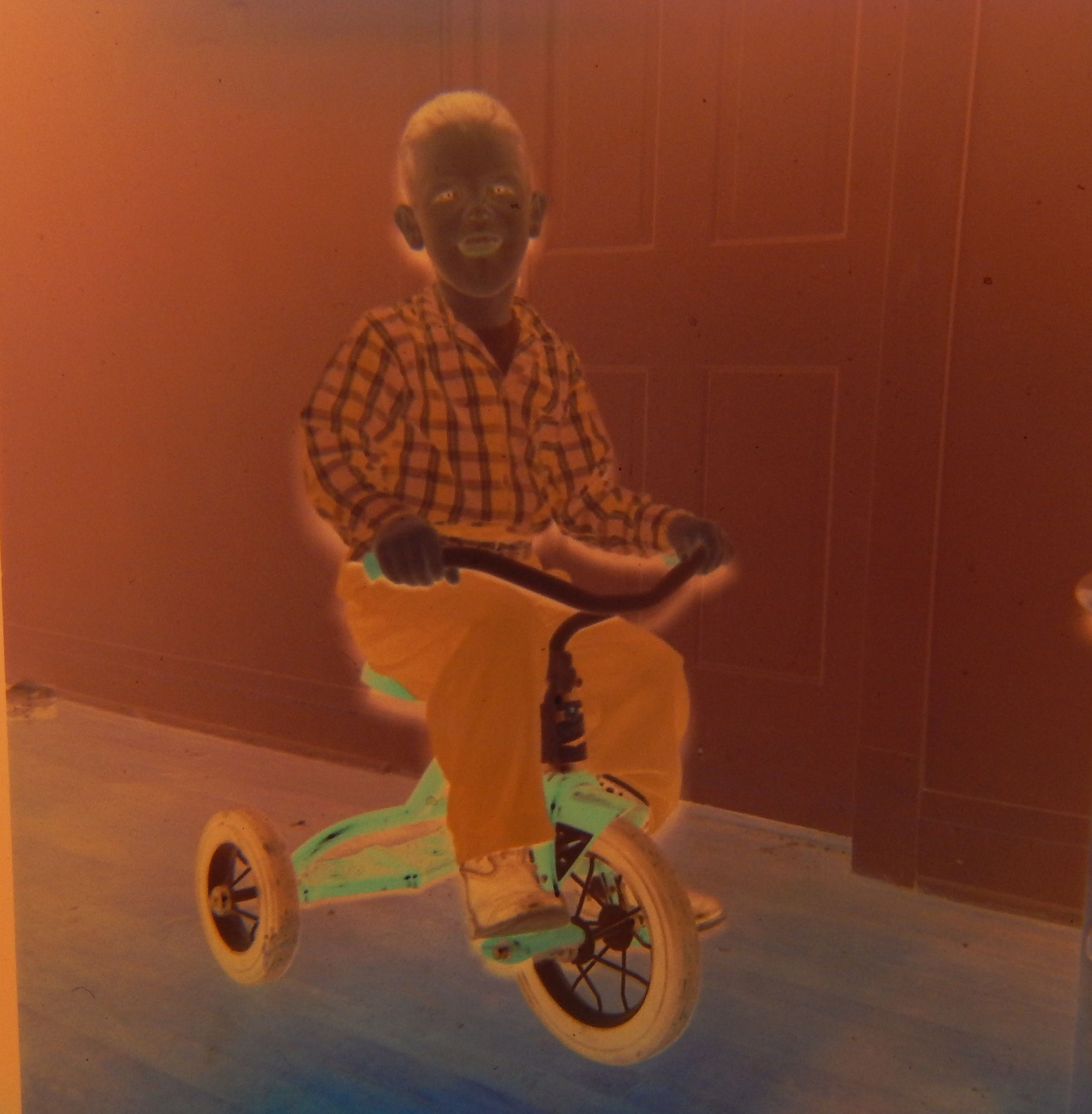Convert Negatives to Digital Photos : 5 Steps (with Pictures ...