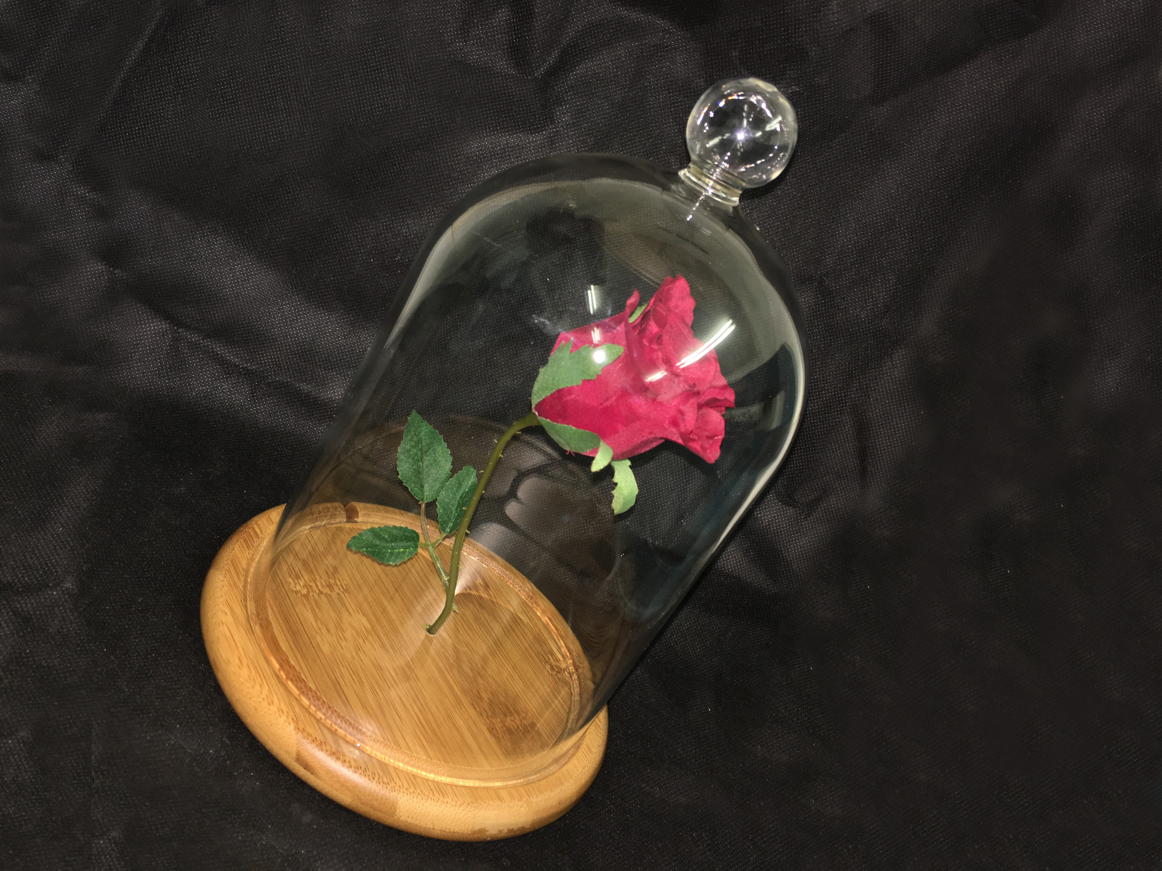 Enchanted Rose - Beauty and the Beast : 6 Steps (with Pictures ...