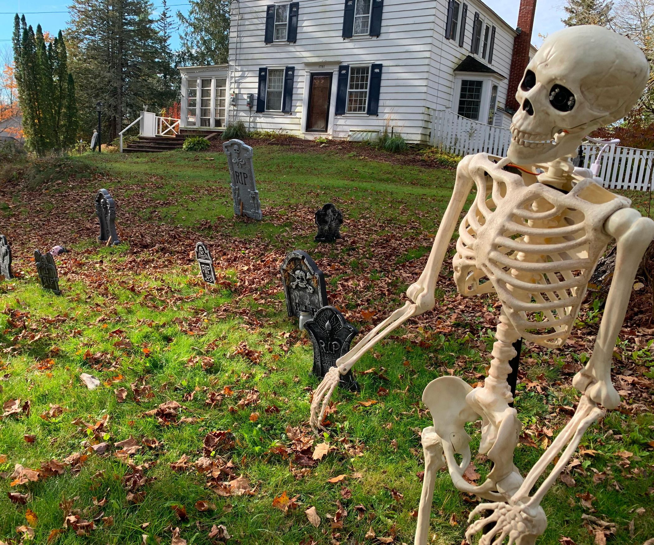 Hack Skellington - AI-powered Halloween Skeleton : 11 Steps (with ...