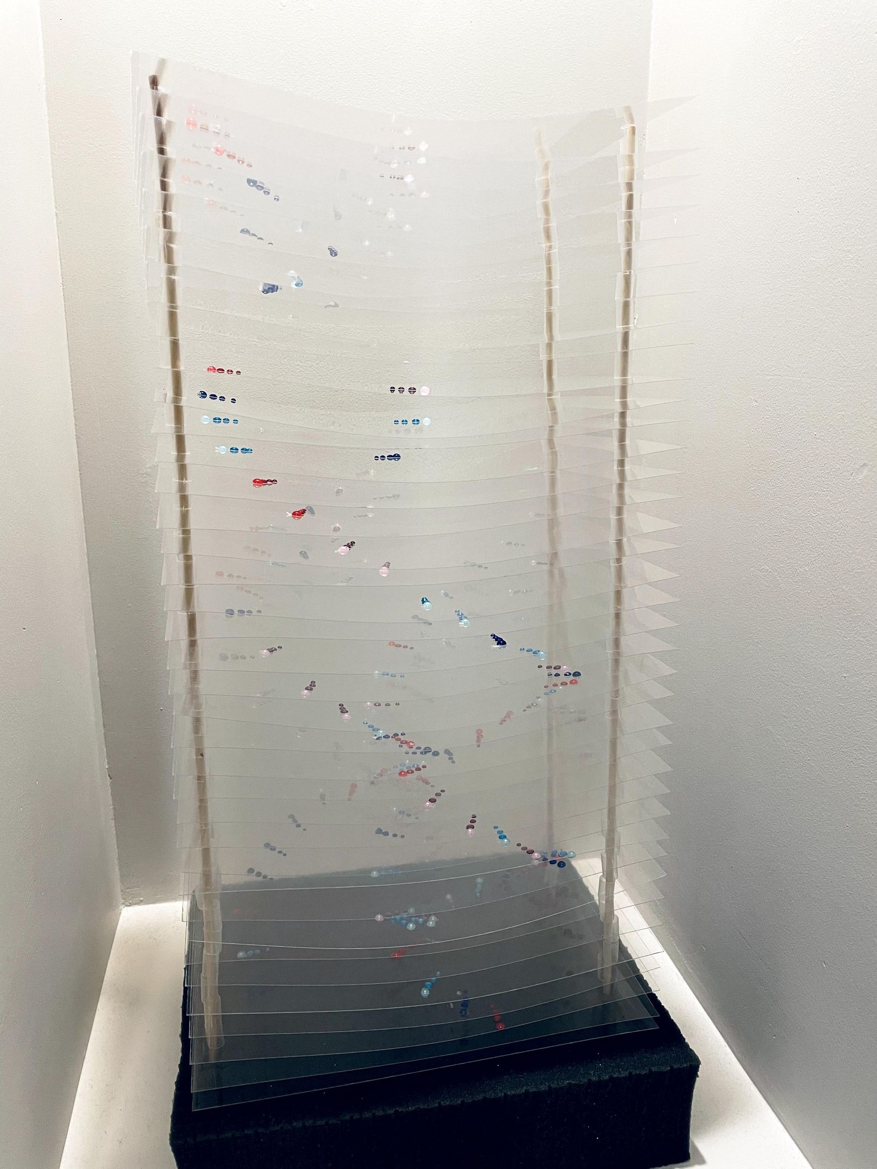 DNA / RNA Layered Art : 8 Steps (with Pictures) - Instructables
