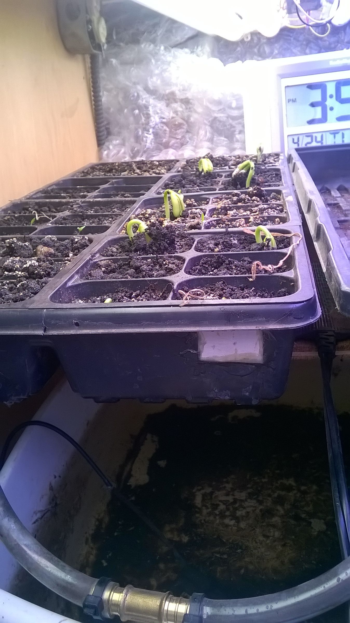 Automated Seedling Nursery 4 Steps Instructables