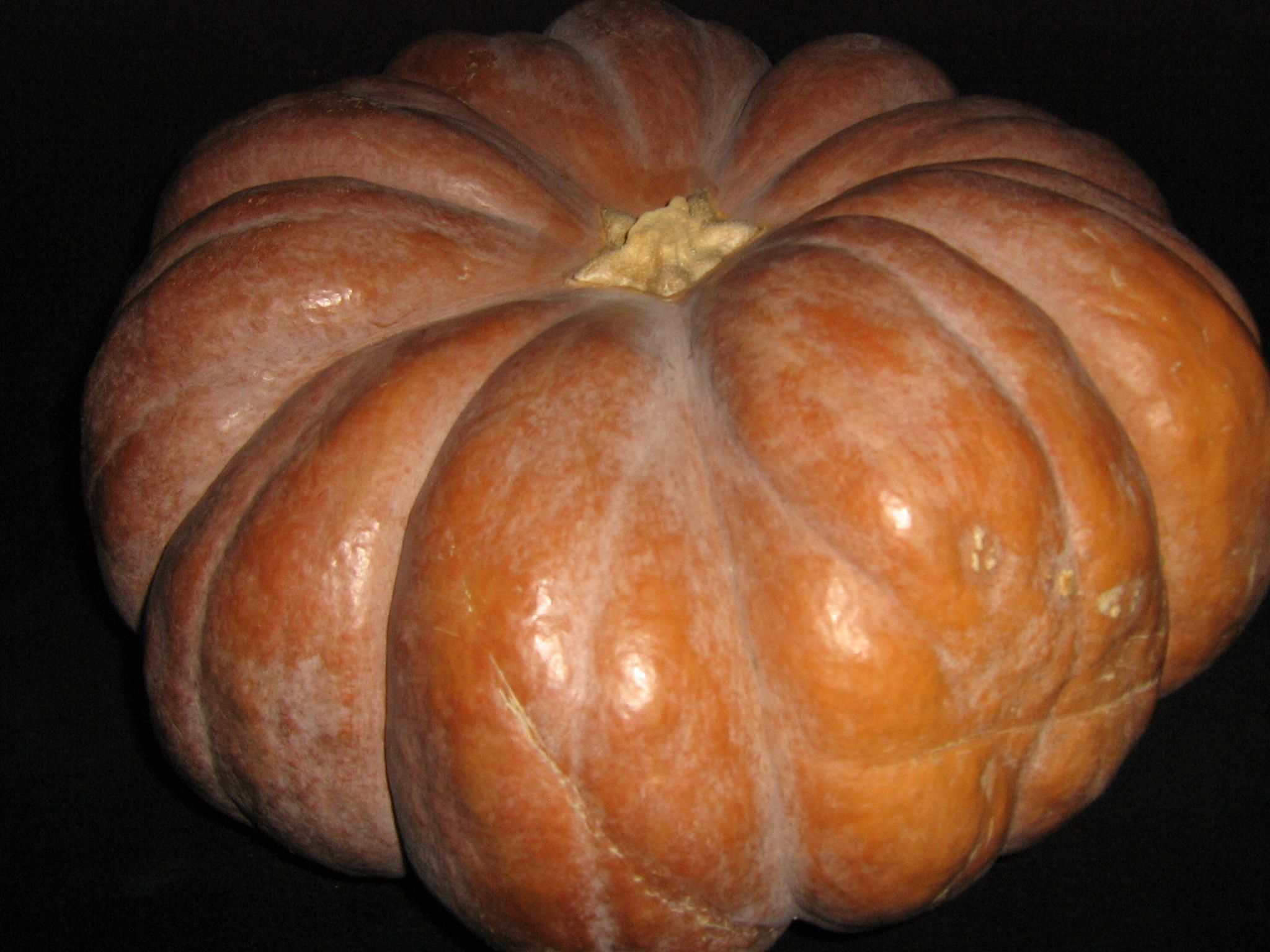 Steaming Pumpkins for Reciepe Use: Pies,Bread,Soup.... : 3 Steps (with ...