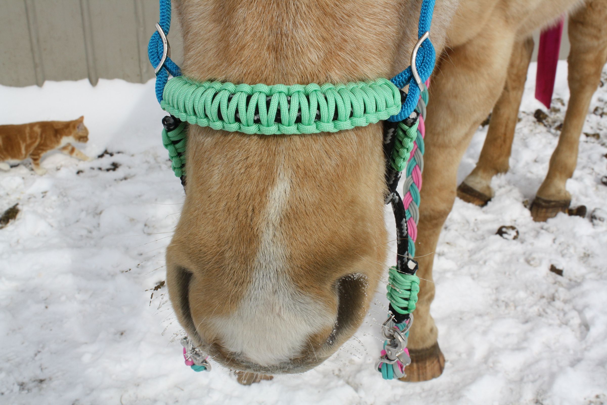 Rope and Paracord Bosal or Indian Side Pull : 10 Steps - Instructables