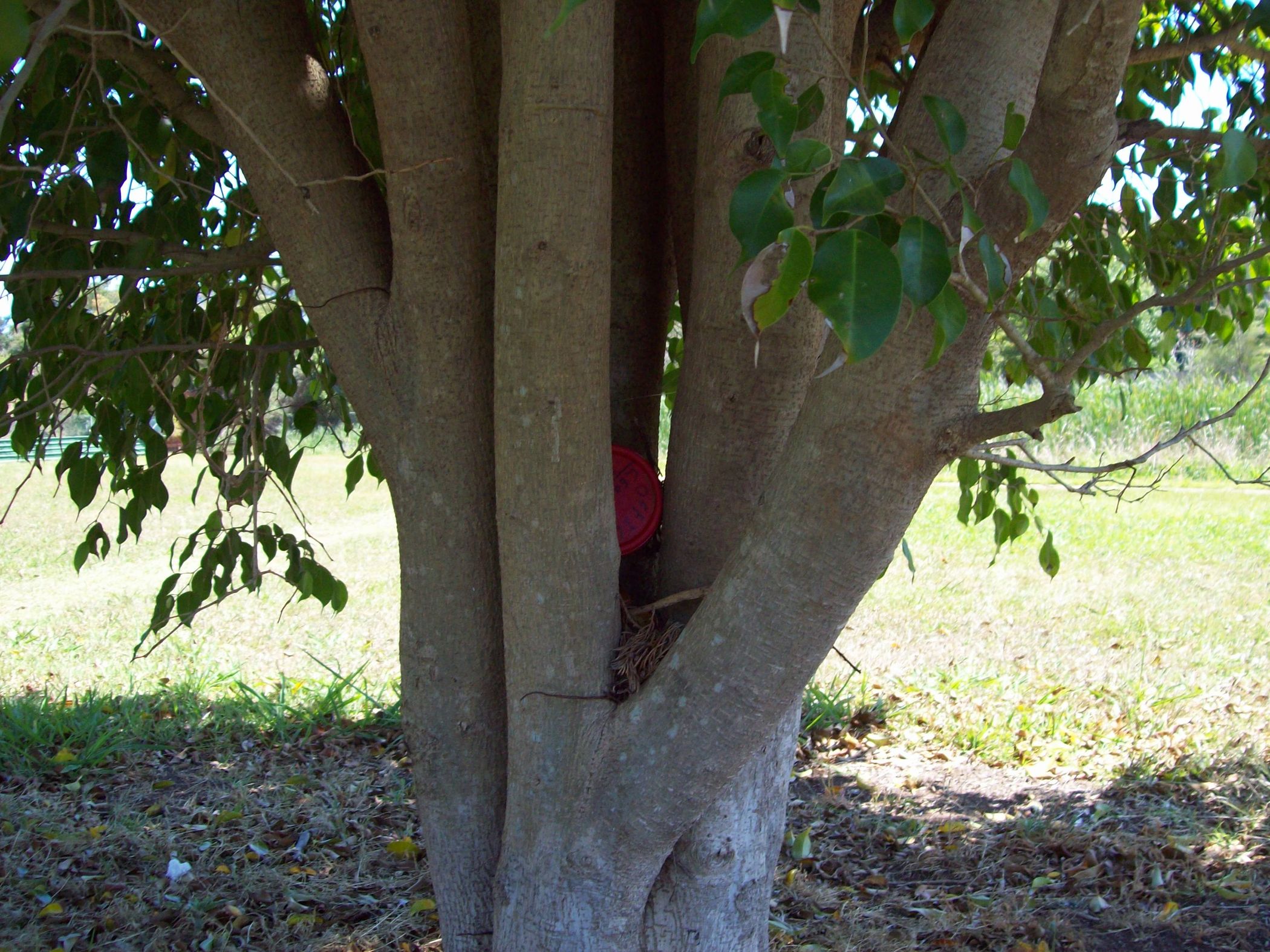 How to Make a Geocache : 8 Steps (with Pictures) - Instructables