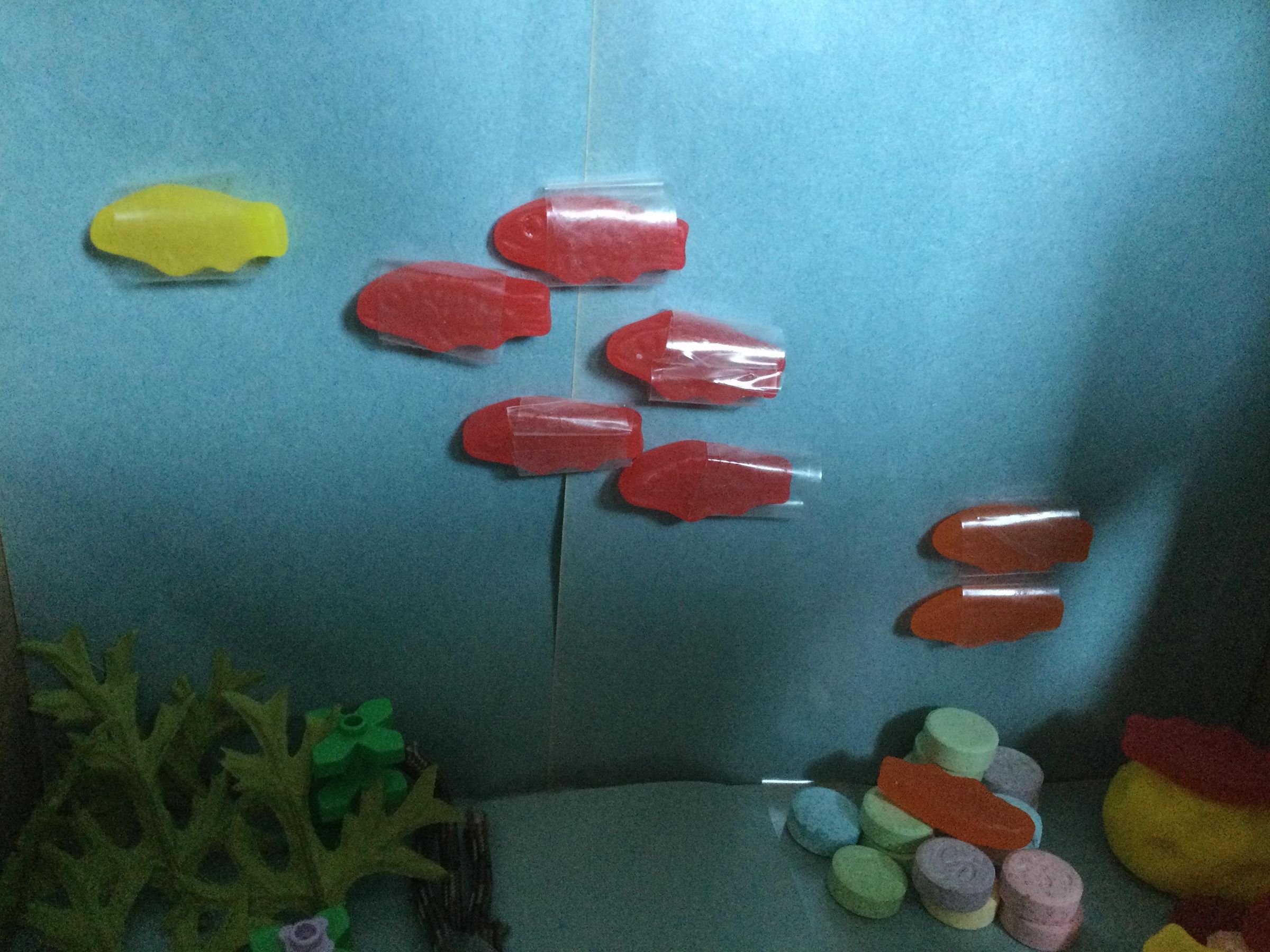 Candy Marine Ecosystem : 6 Steps - Instructables