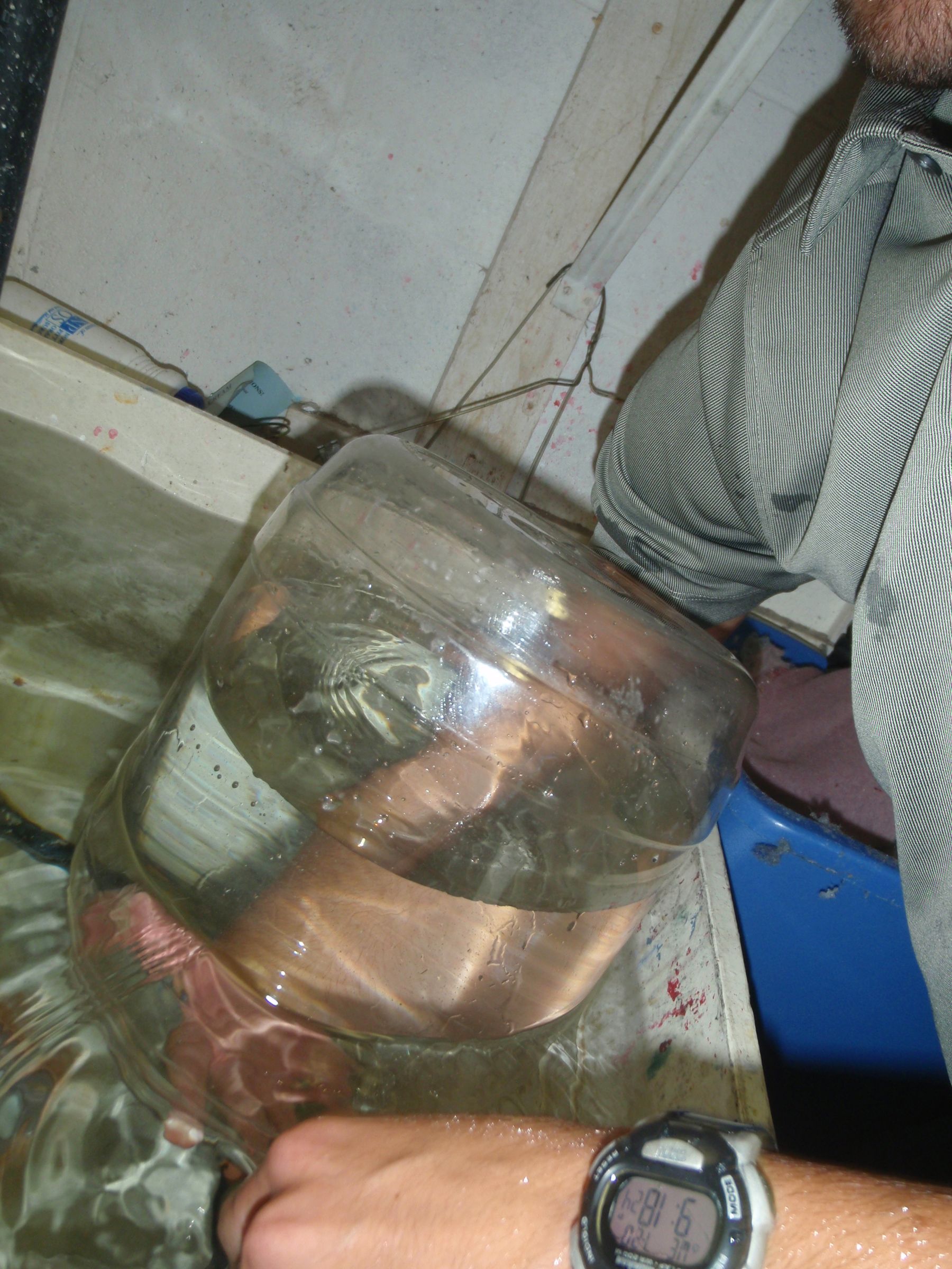 Measure Body Fat % Via Underwater Weighing : 9 Steps - Instructables