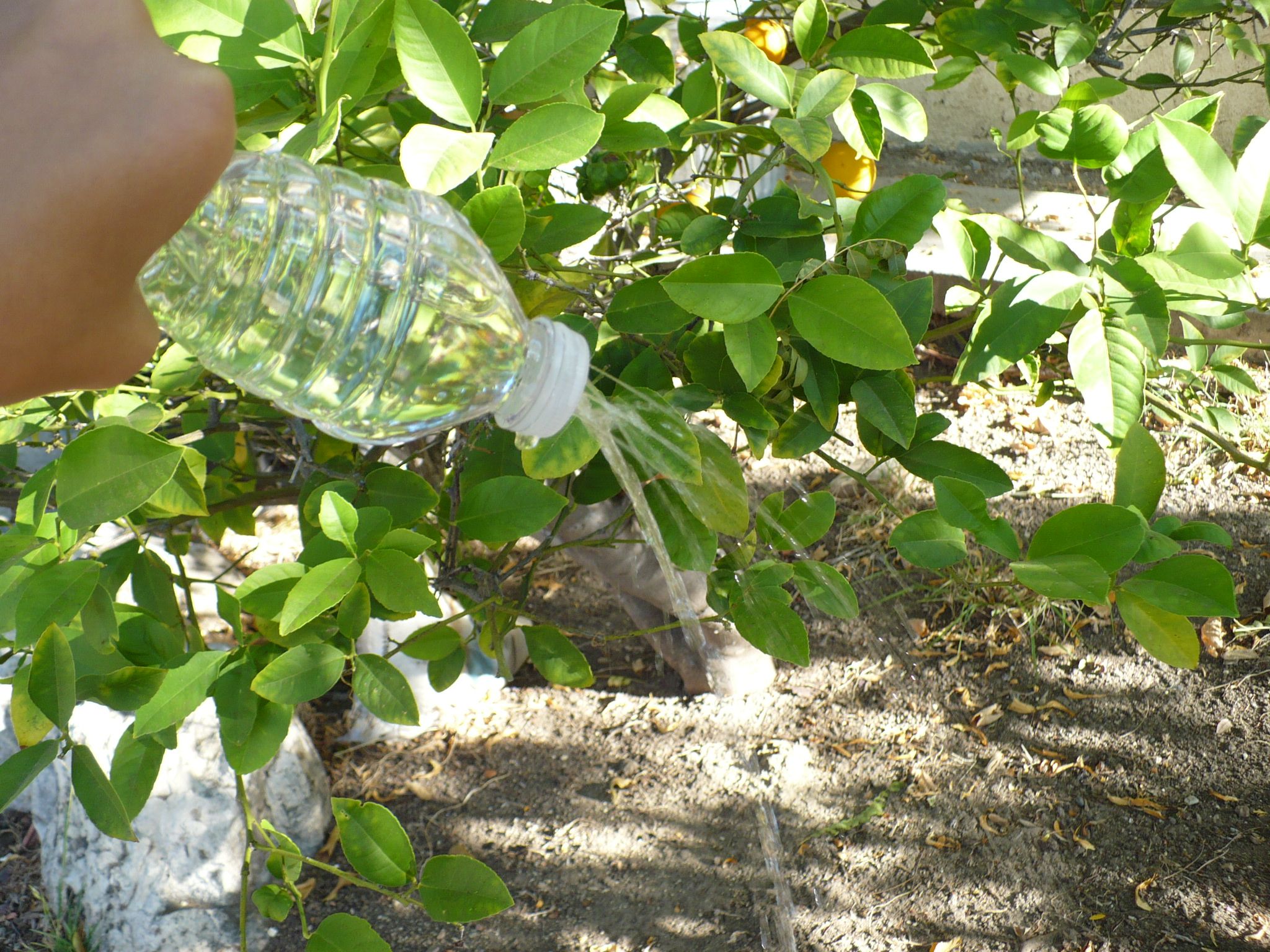 Reusing Water Containers : 3 Steps - Instructables