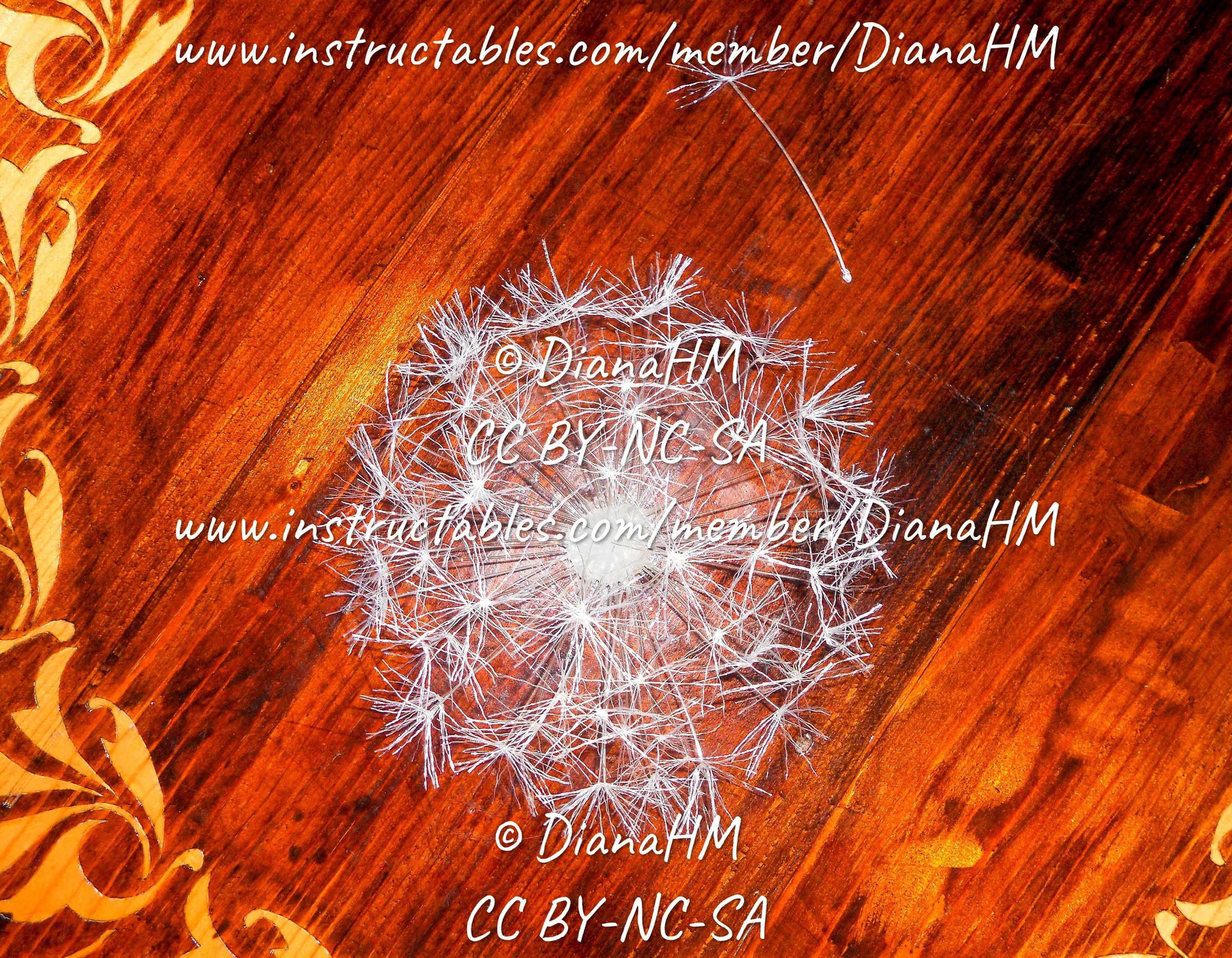 Delicate Dandelion Made of Ribbon, Glue and Fishing Line : 7 Steps ...