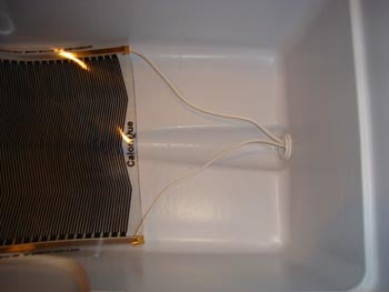 How to Build a Ball Python Egg Incubator : 5 Steps - Instructables