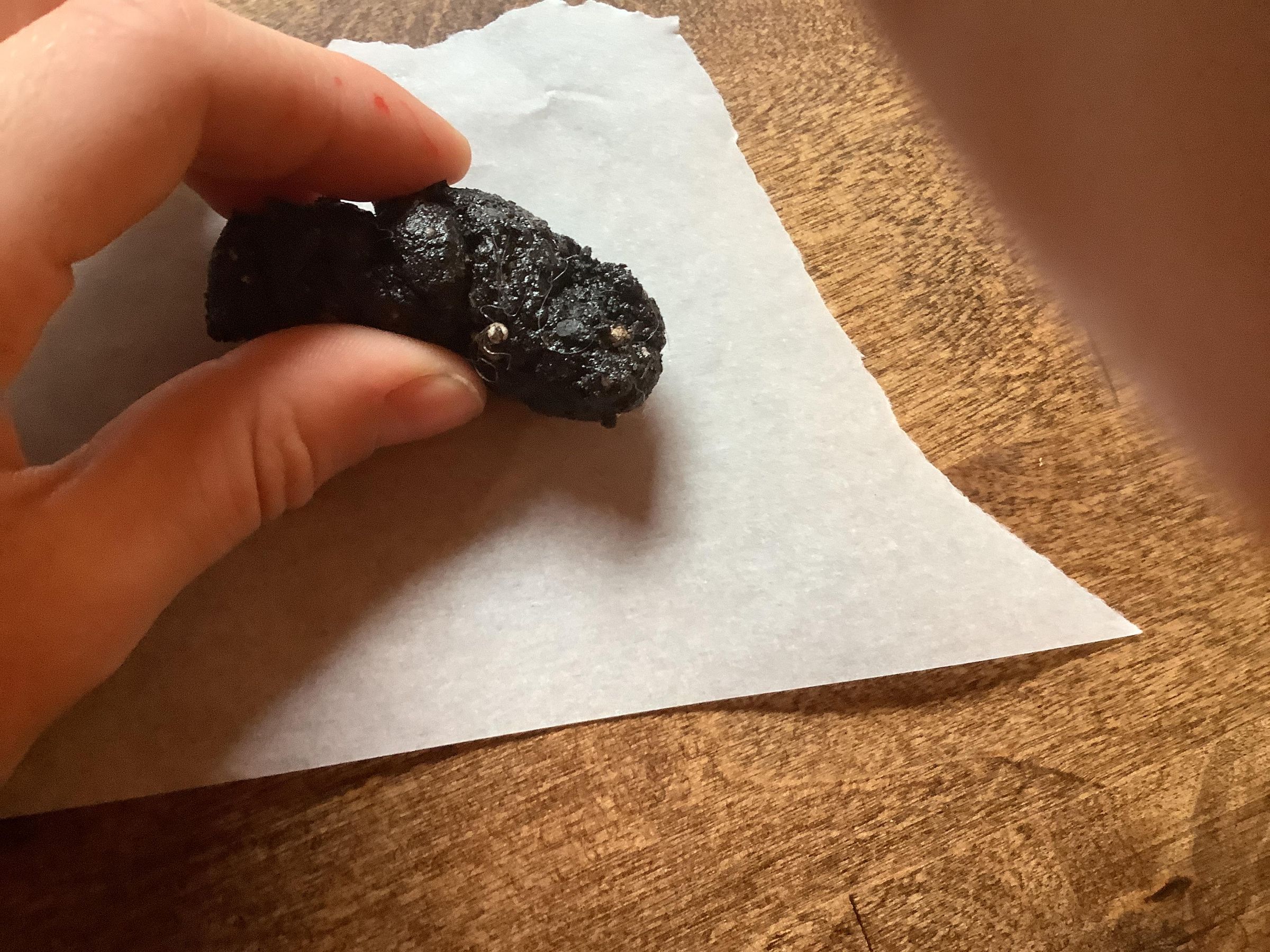 How to Make Realistic Fake Poop : 4 Steps - Instructables