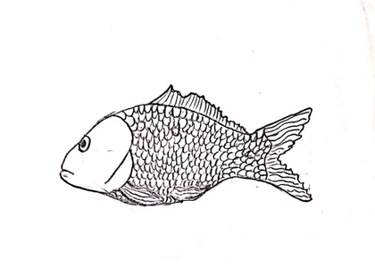 How to Draw a Fish : 9 Steps (with Pictures) - Instructables