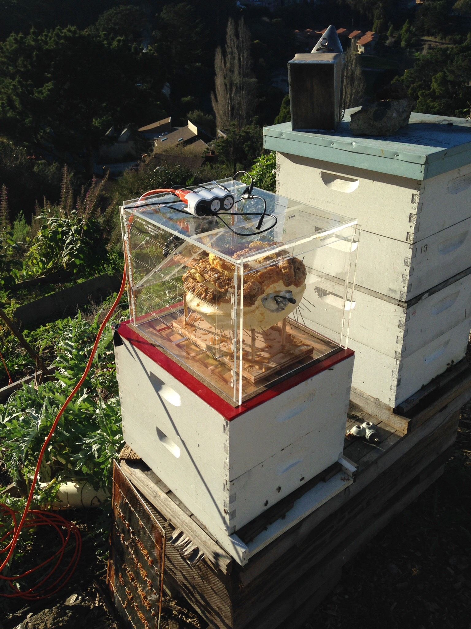 How to Document Your Busy Bees : 10 Steps (with Pictures) - Instructables