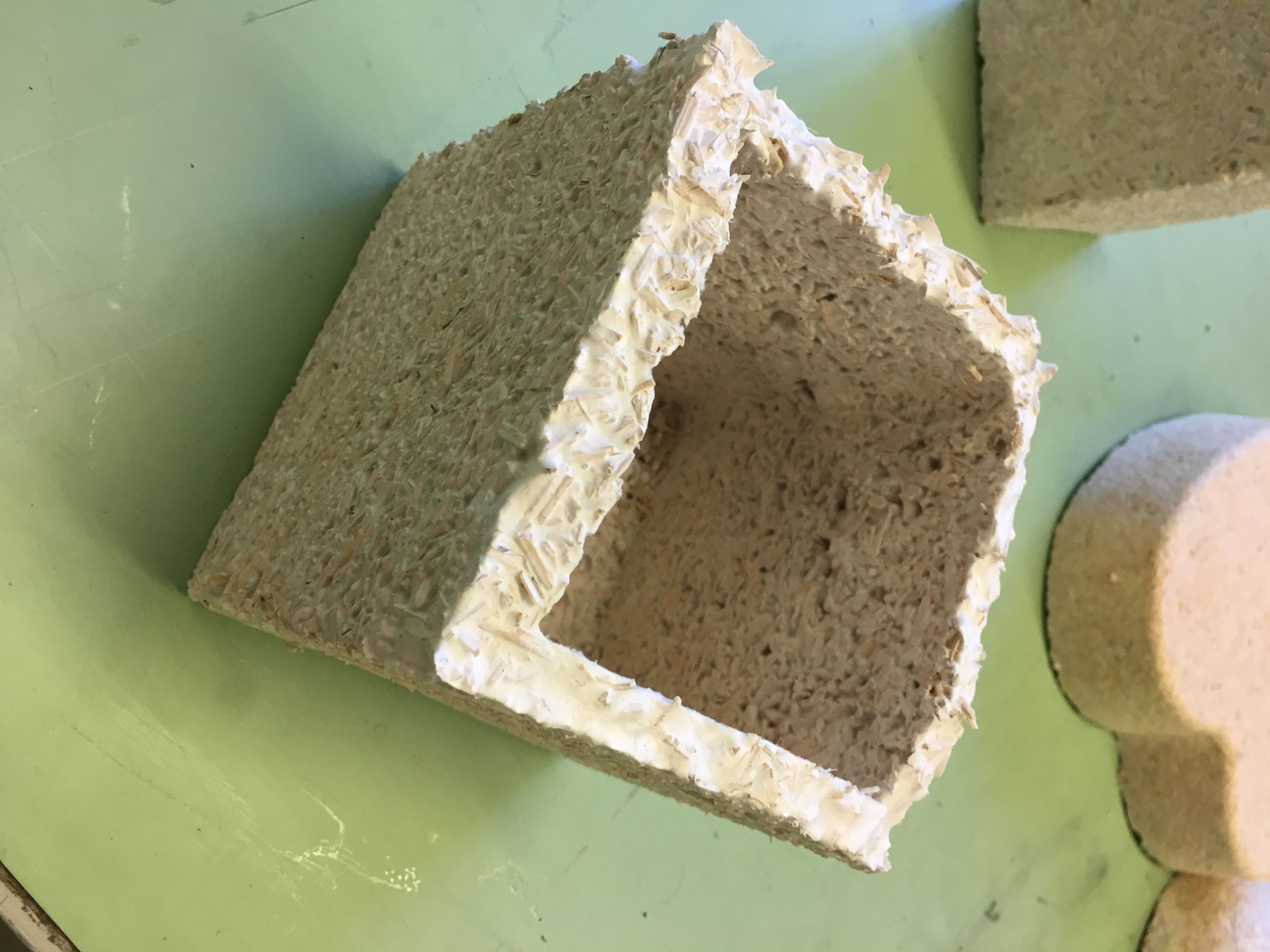 Mycelium Molds : 5 Steps (with Pictures) - Instructables