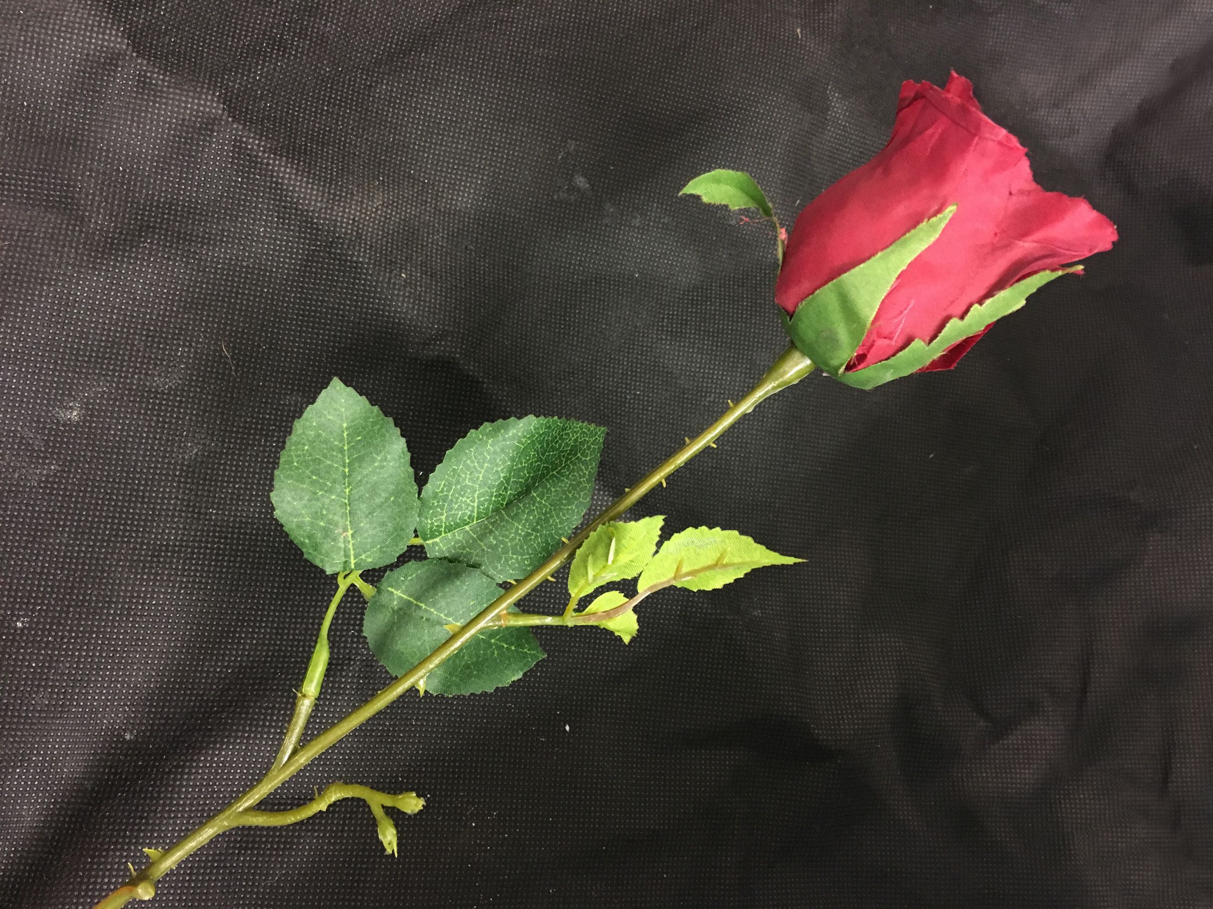 Enchanted Rose - Beauty and the Beast : 6 Steps (with Pictures ...
