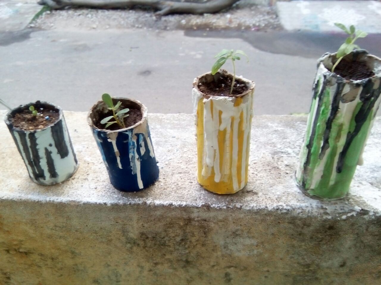 Cardboard Planter : 7 Steps (with Pictures) - Instructables