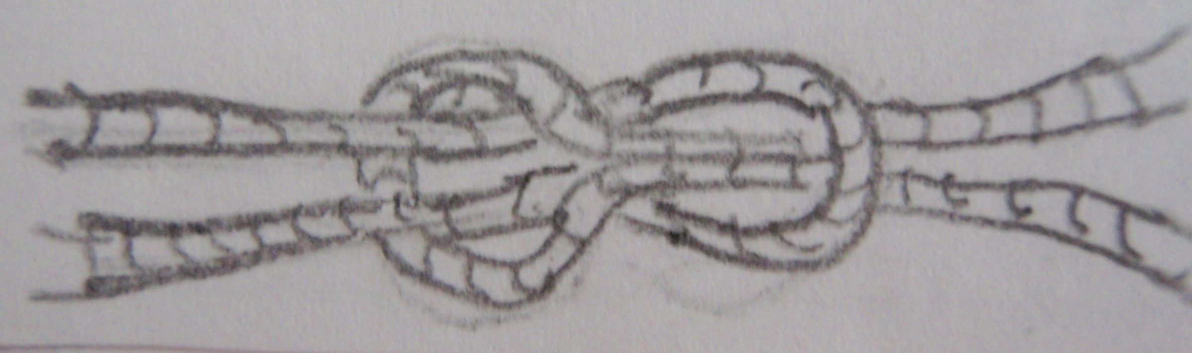 Basic Knots Guide : 8 Steps - Instructables