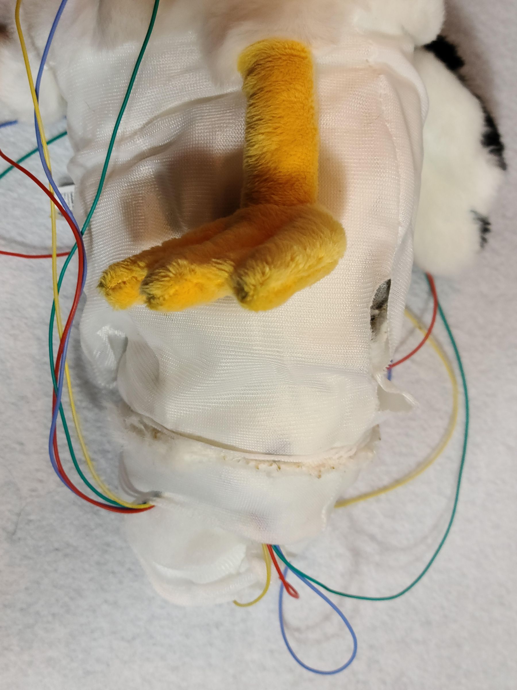 Cyborg Crafts: Sense Magnetic Fields Like a Bird - Sensory Extension ...