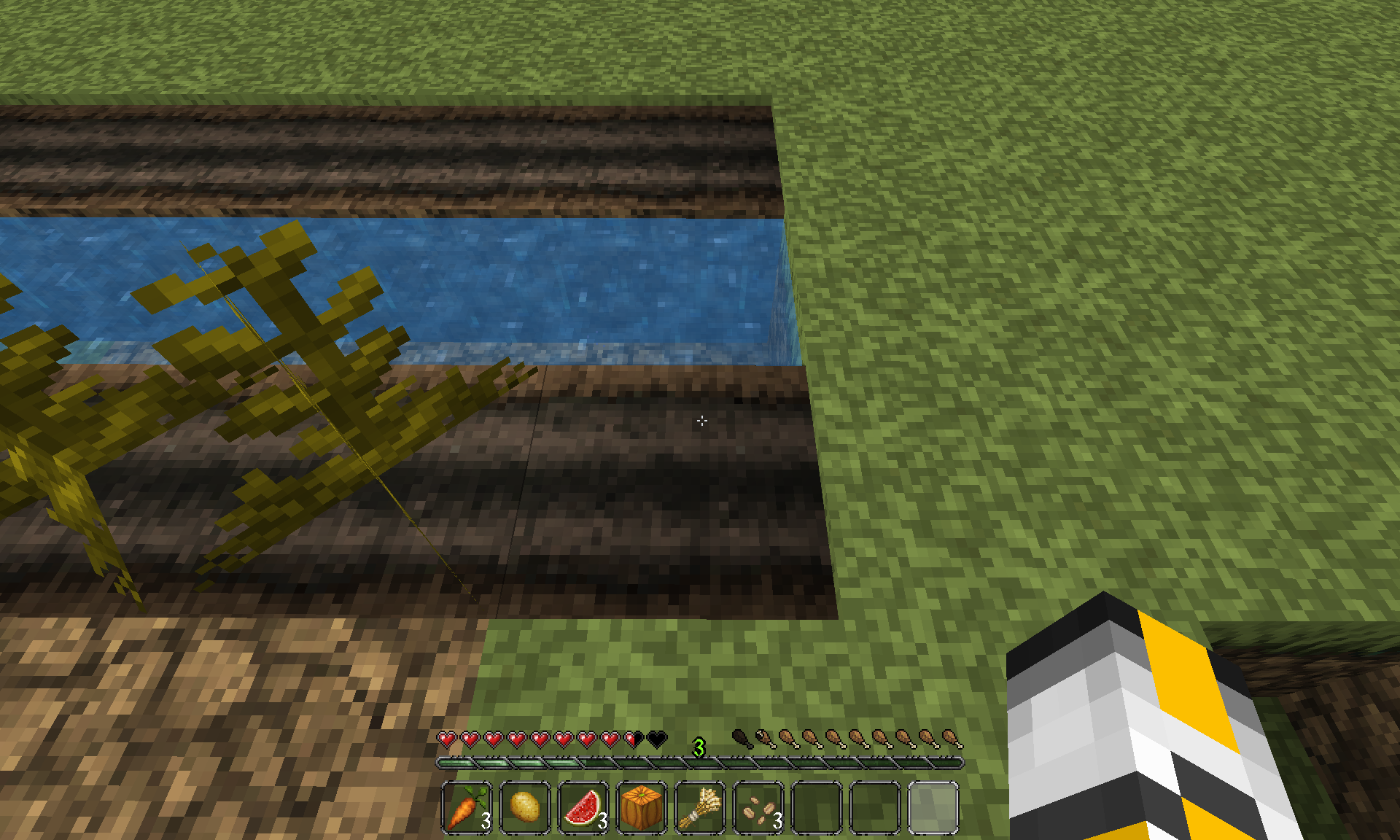 Minecraft Farming 101 : 6 Steps - Instructables