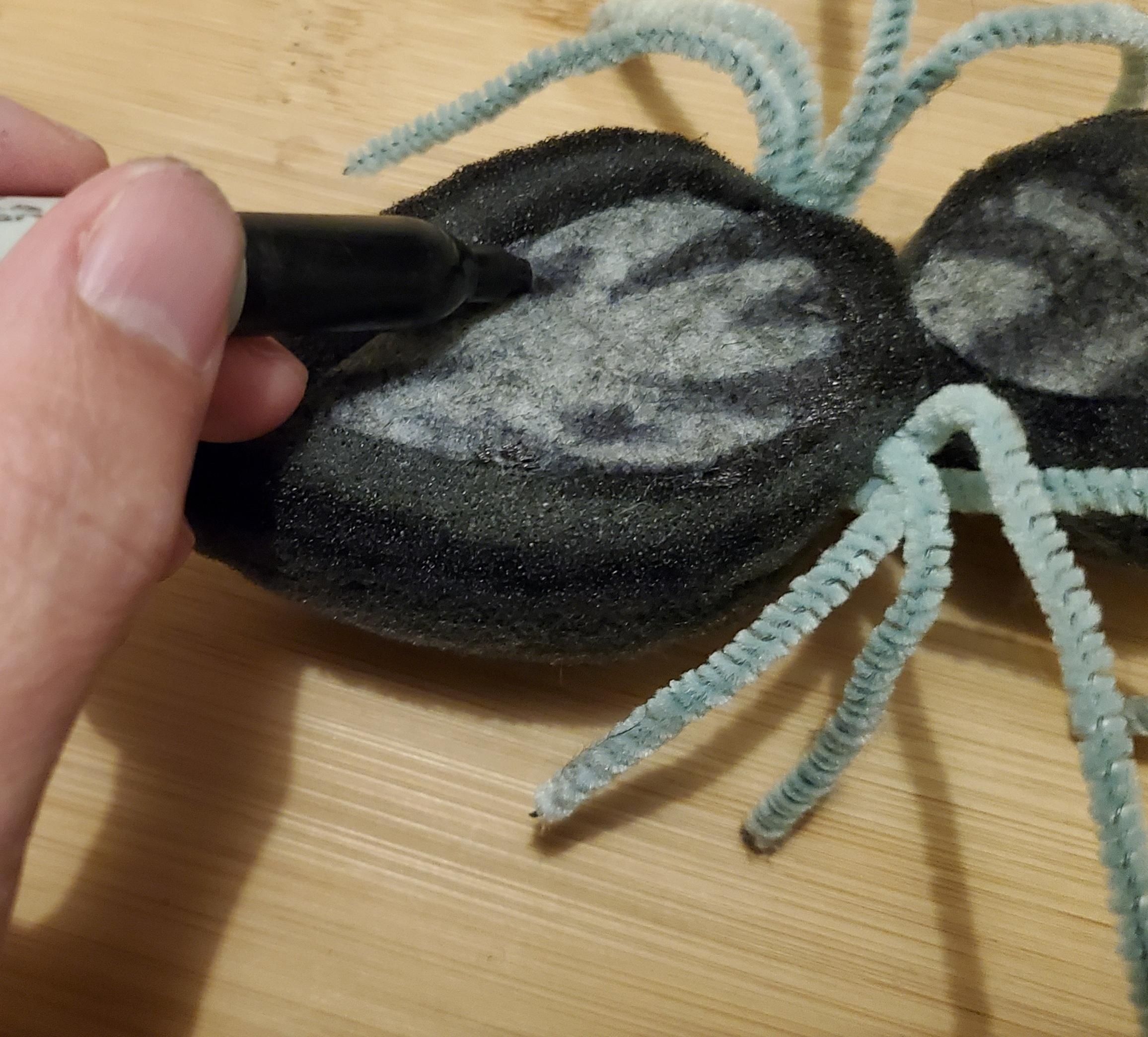 Jumping Spider : 9 Steps (with Pictures) - Instructables