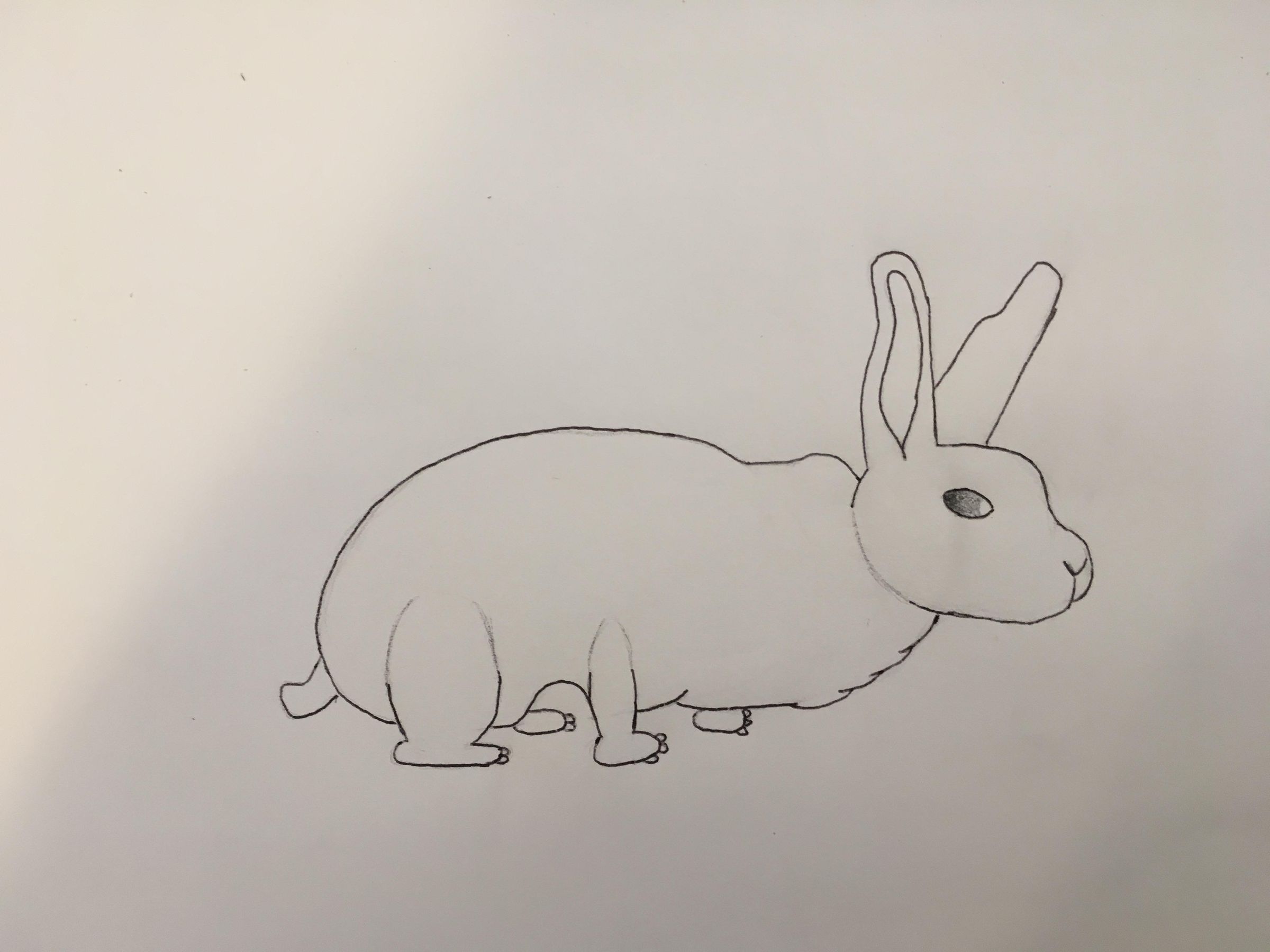 How to Draw a Realistic Bunny (standing) : 26 Steps - Instructables