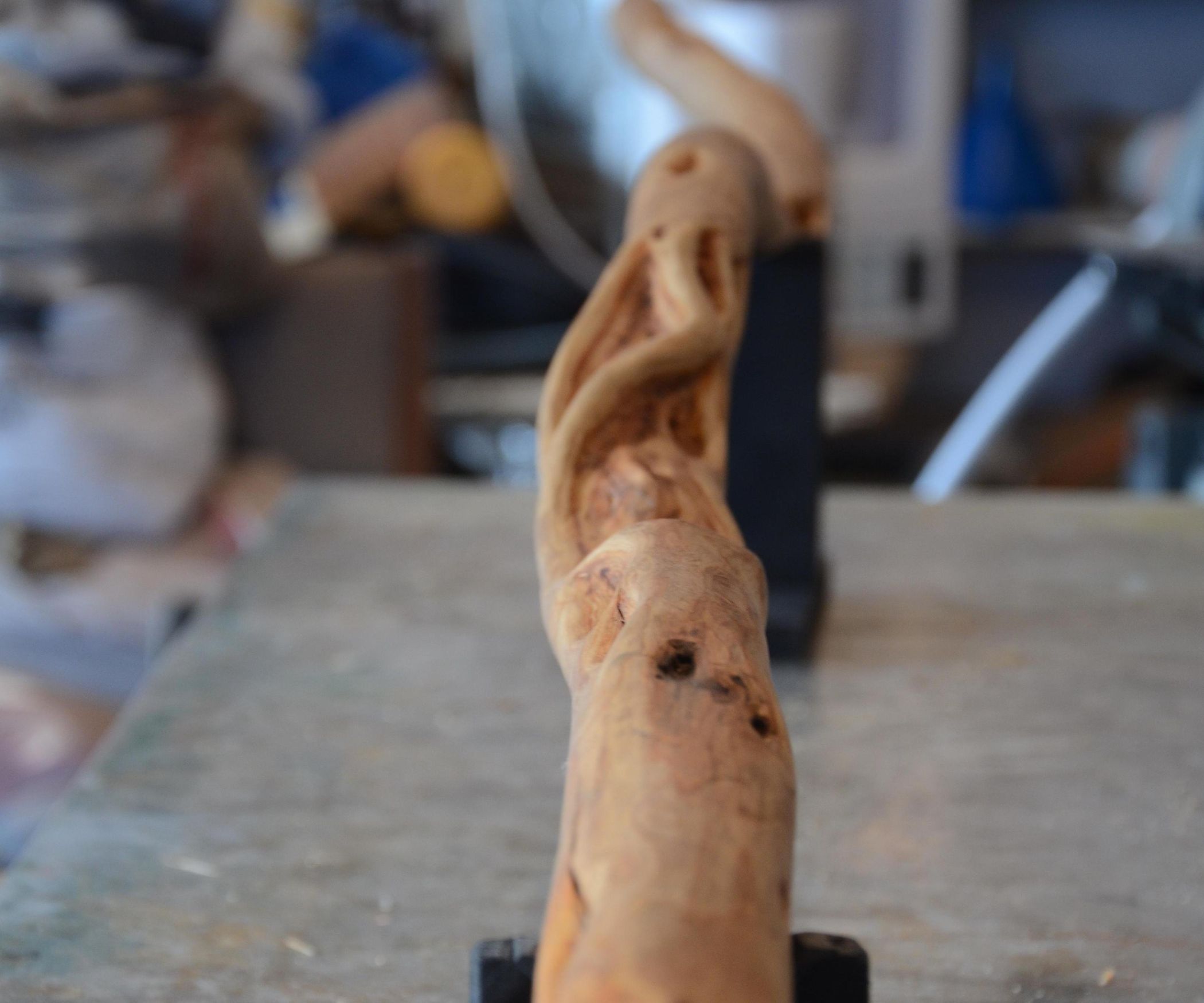 Diamond Willow Walking Stick : 7 Steps (with Pictures) - Instructables
