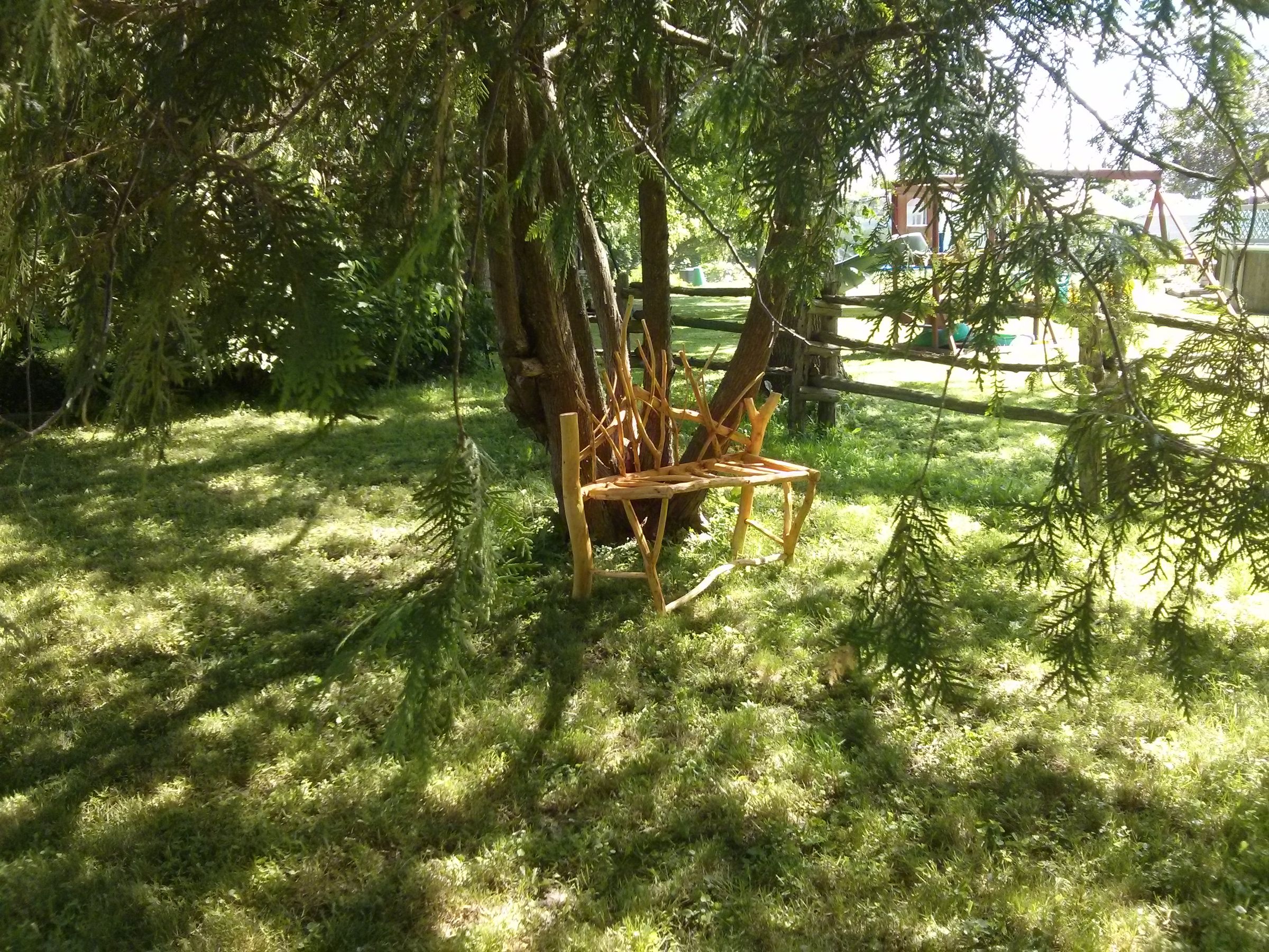 Decorative Garden Bench Made From Fallen Tree Limbs : 9 Steps ...
