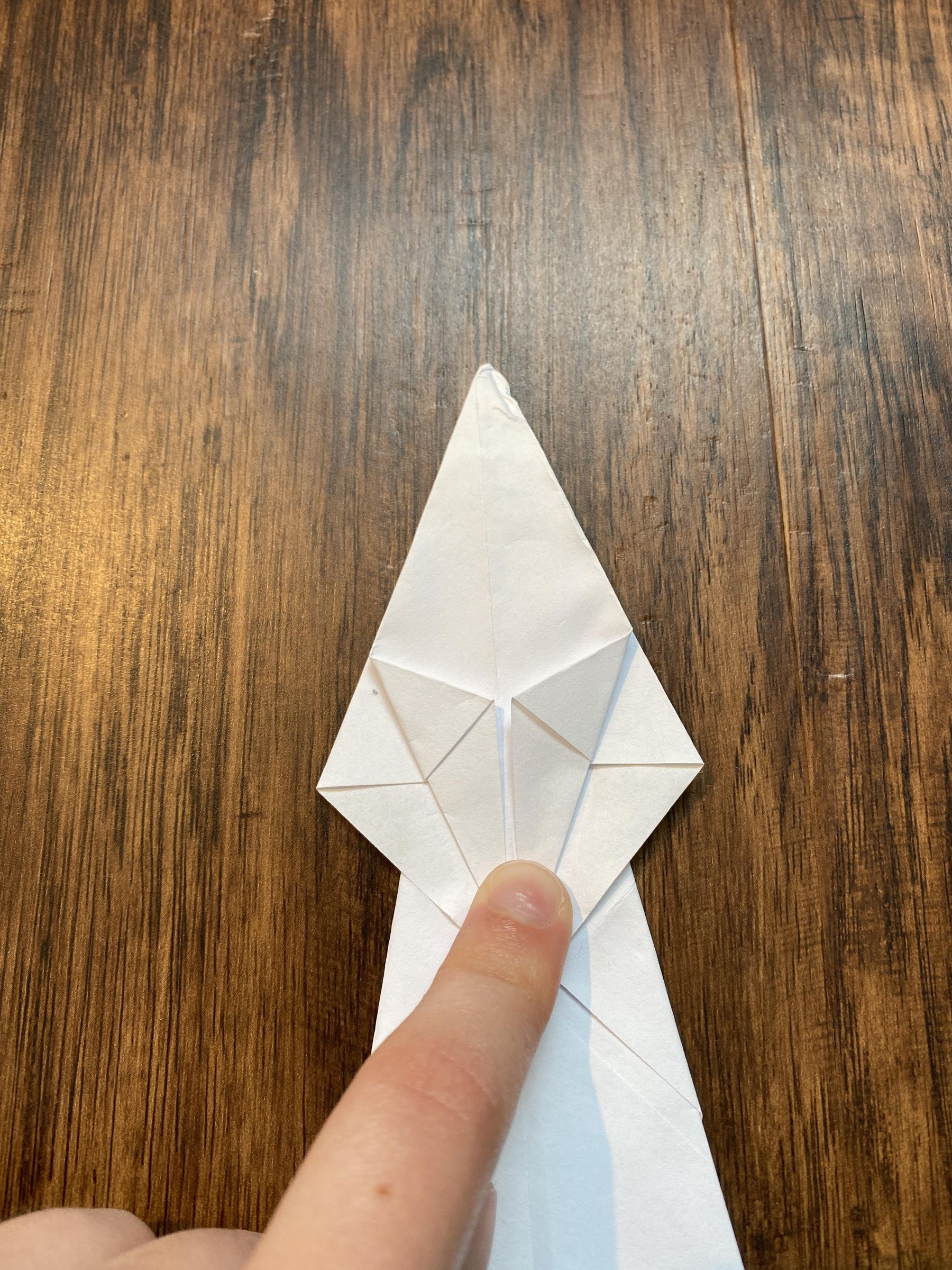 Painted Origami Gator : 18 Steps (with Pictures) - Instructables