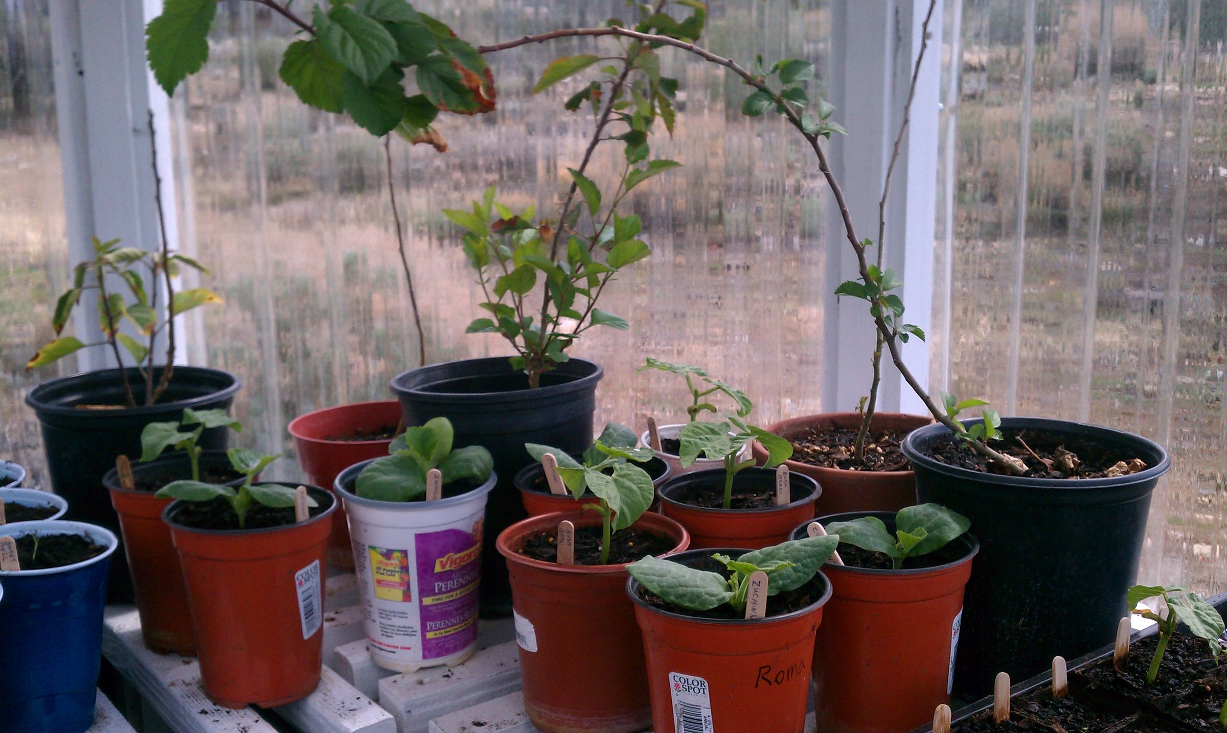Octagonal Greenhouse : 15 Steps (with Pictures) - Instructables